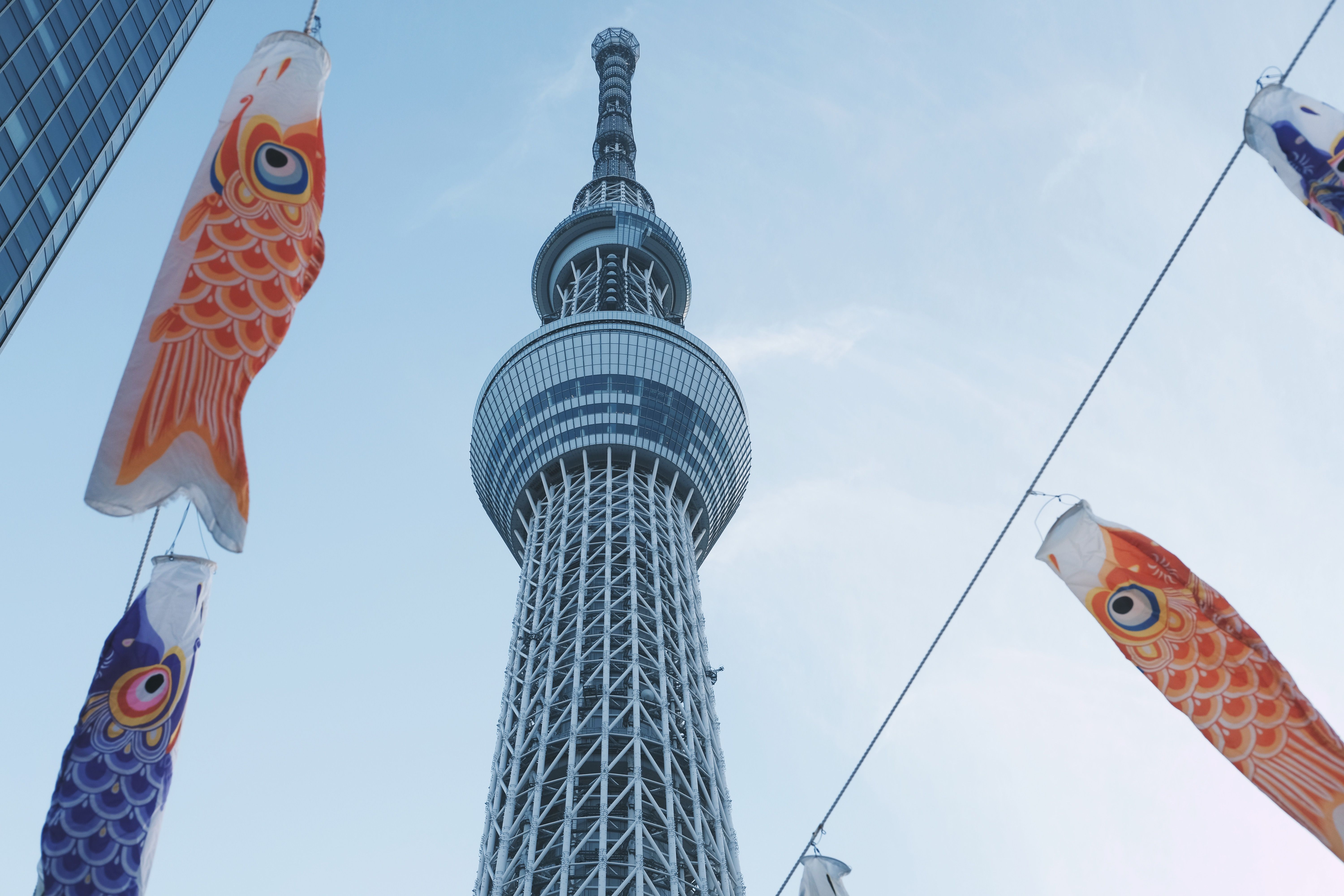 Low Angle Shot of the Tokyo Skytree · Free Stock Photo