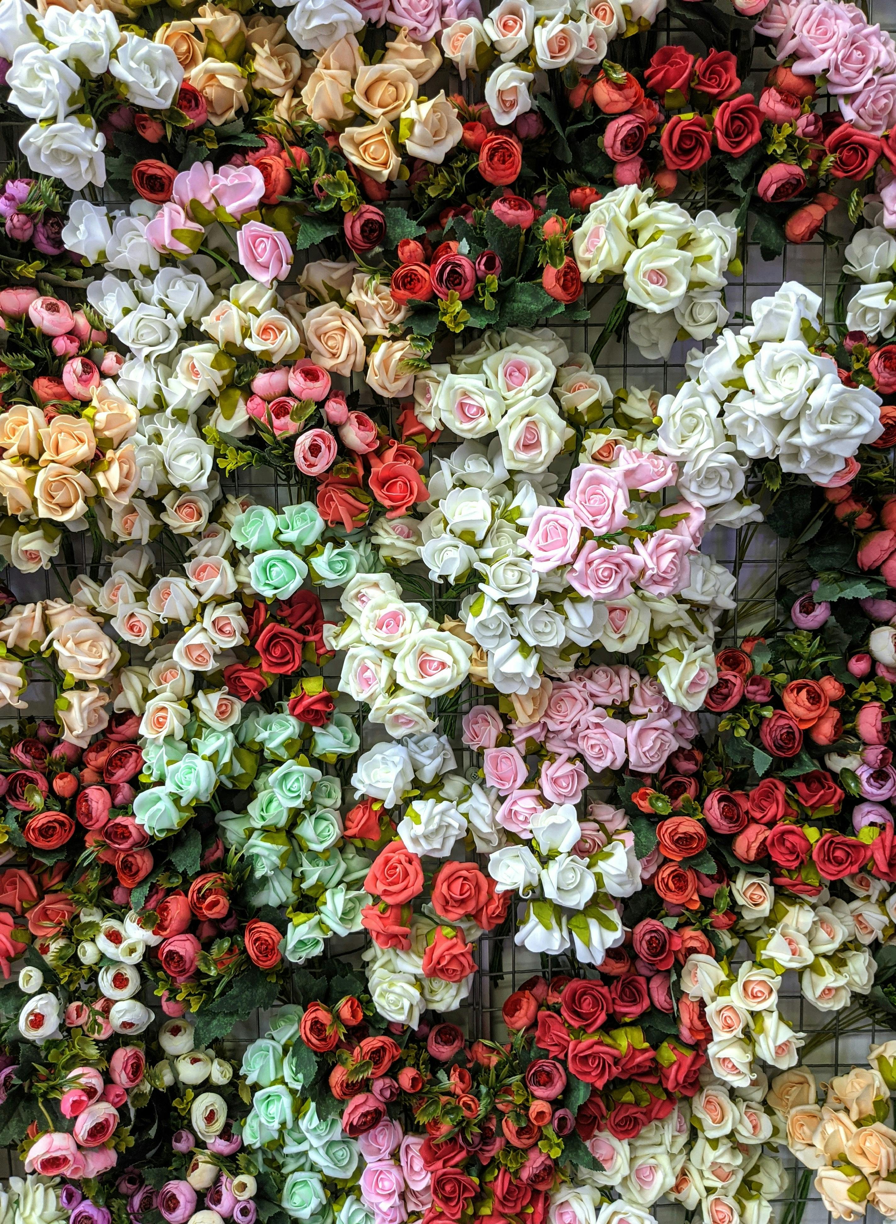 Roses in a Store · Free Stock Photo