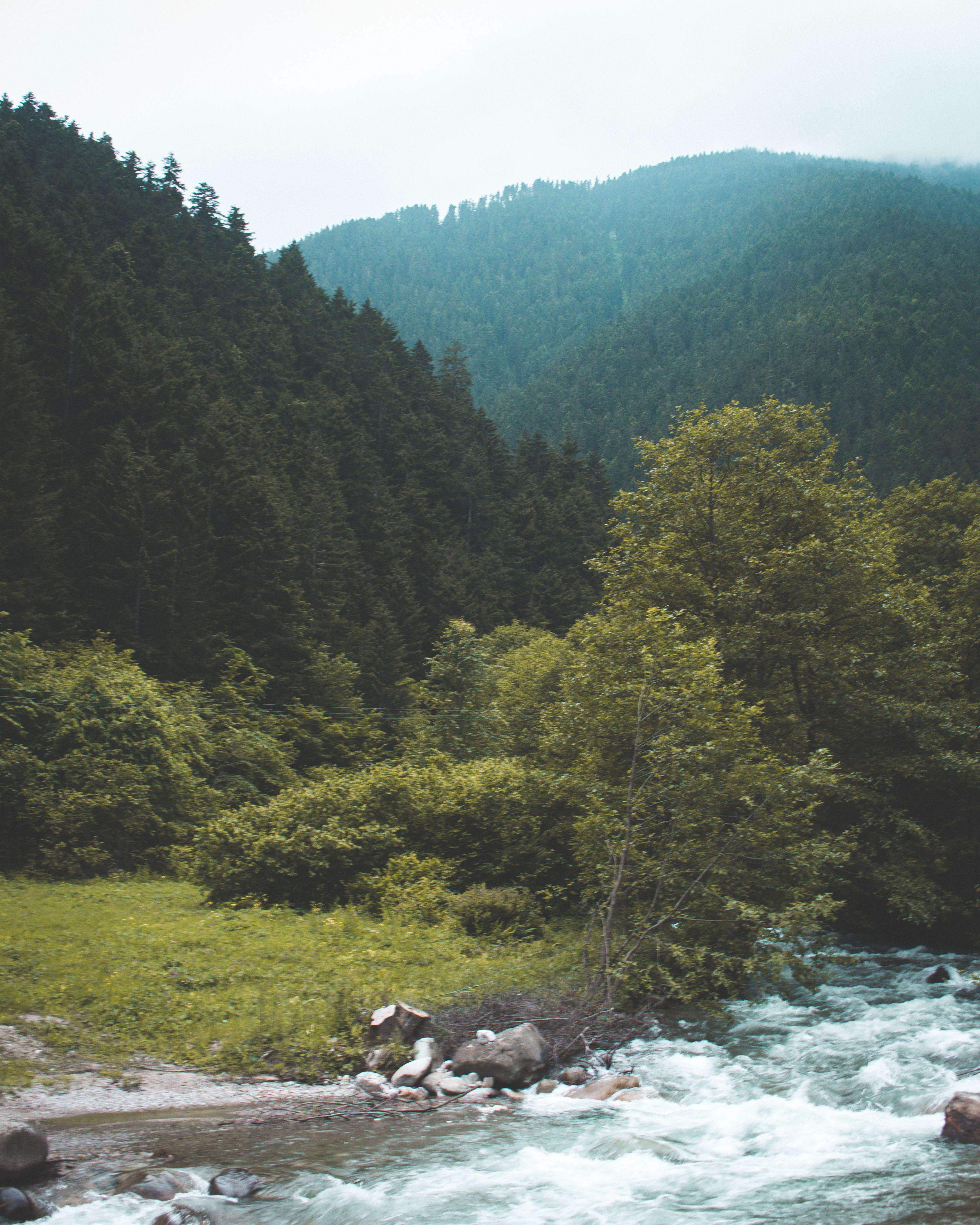 Water Flowing · Free Stock Photo