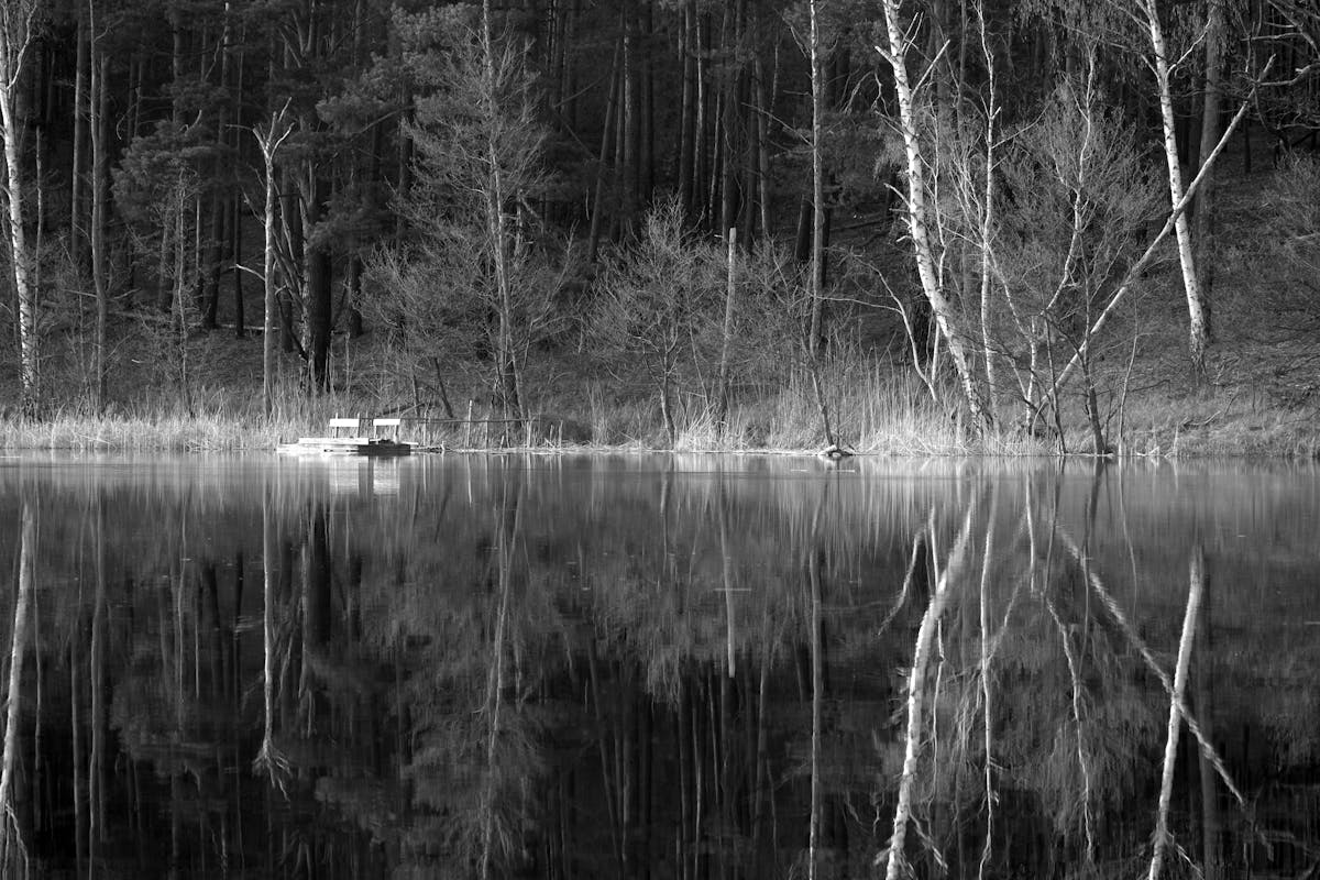 Free Free Time Photos, Download The BEST Free Free Free Time Stock ...