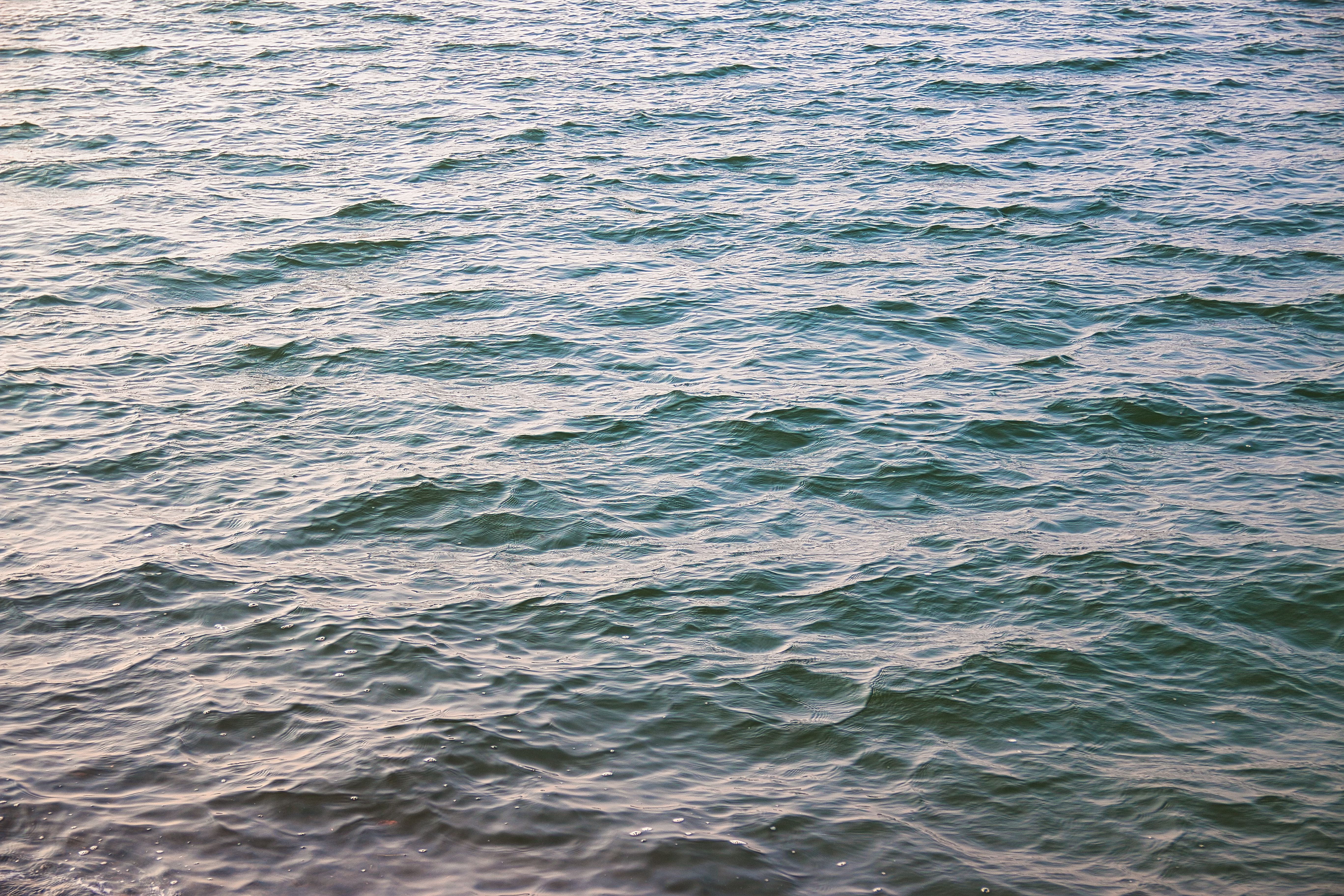 Surface of the Sea · Free Stock Photo