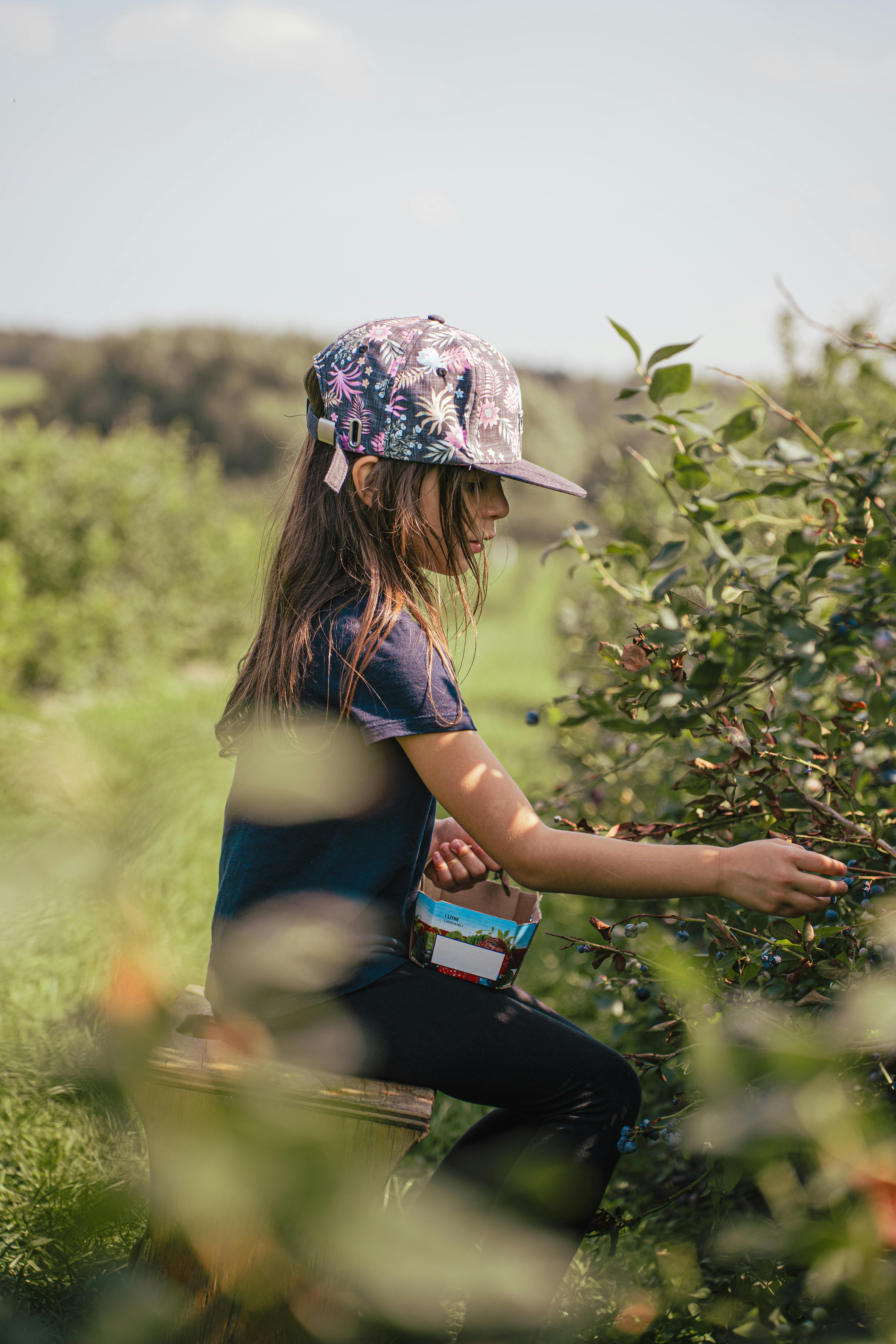 Child in Plantation Gathering Berries · Free Stock Photo