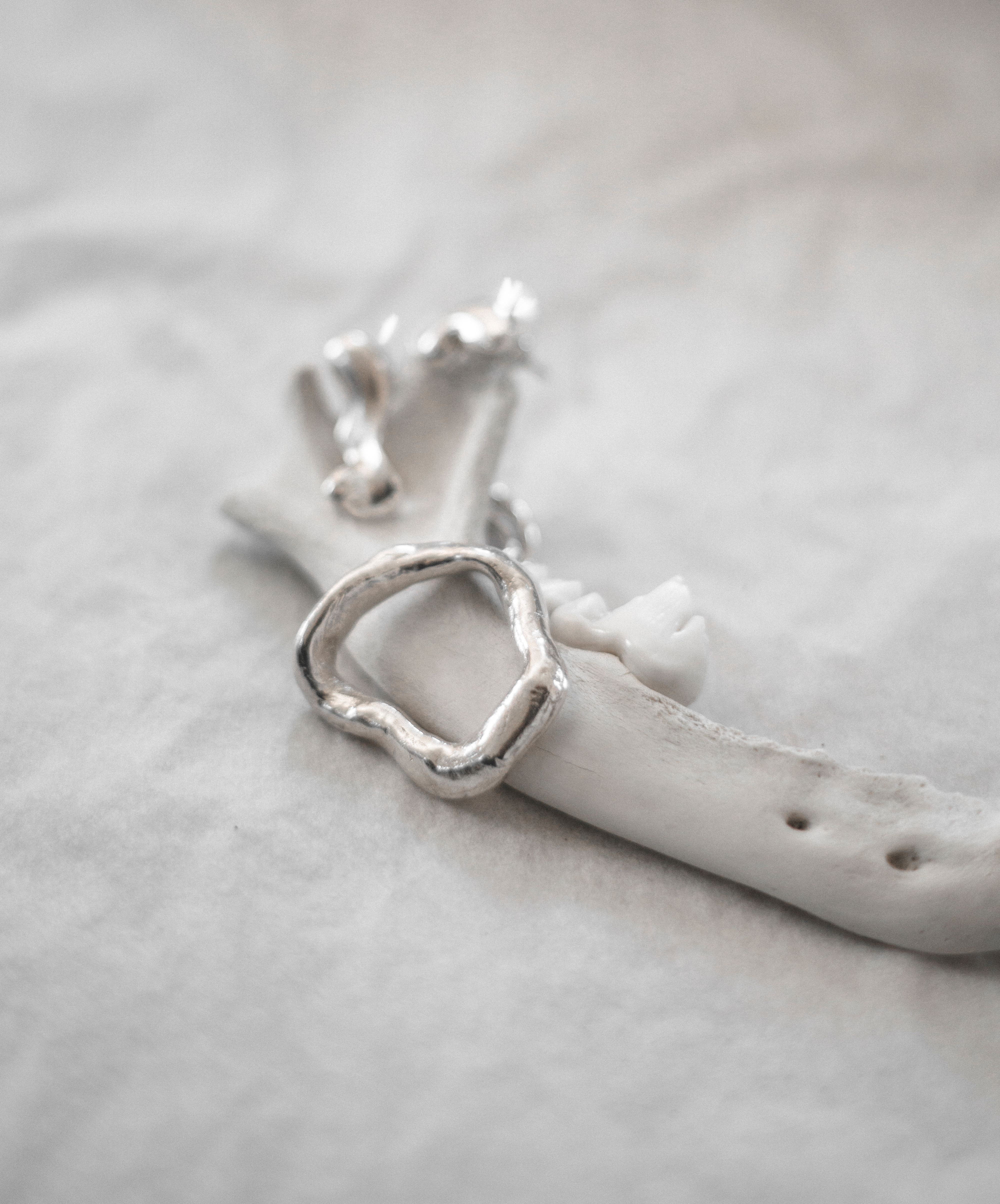 Silver Sivatag Photos, Download The BEST Free Silver Sivatag Stock ...