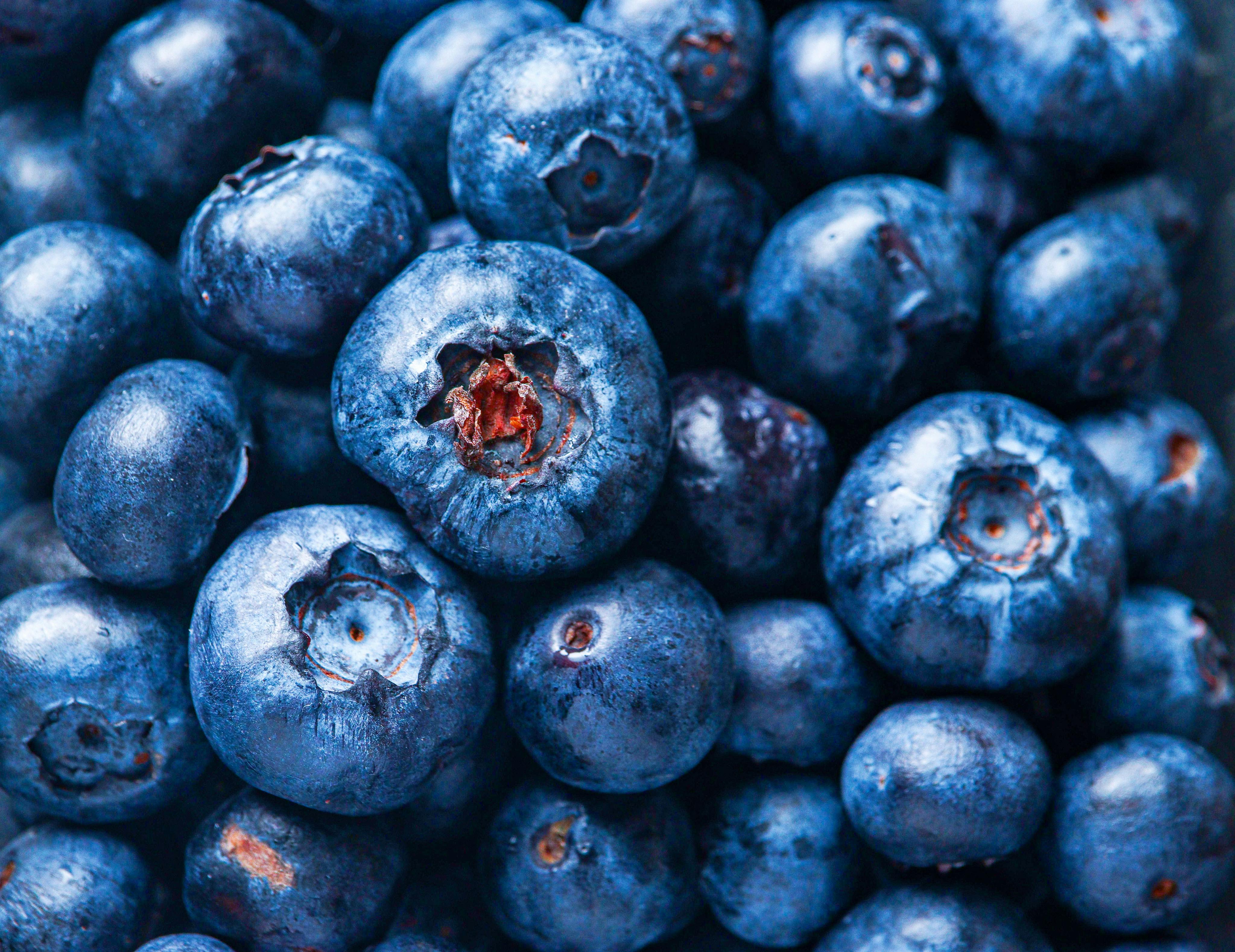 Bunch of Blueberries · Free Stock Photo