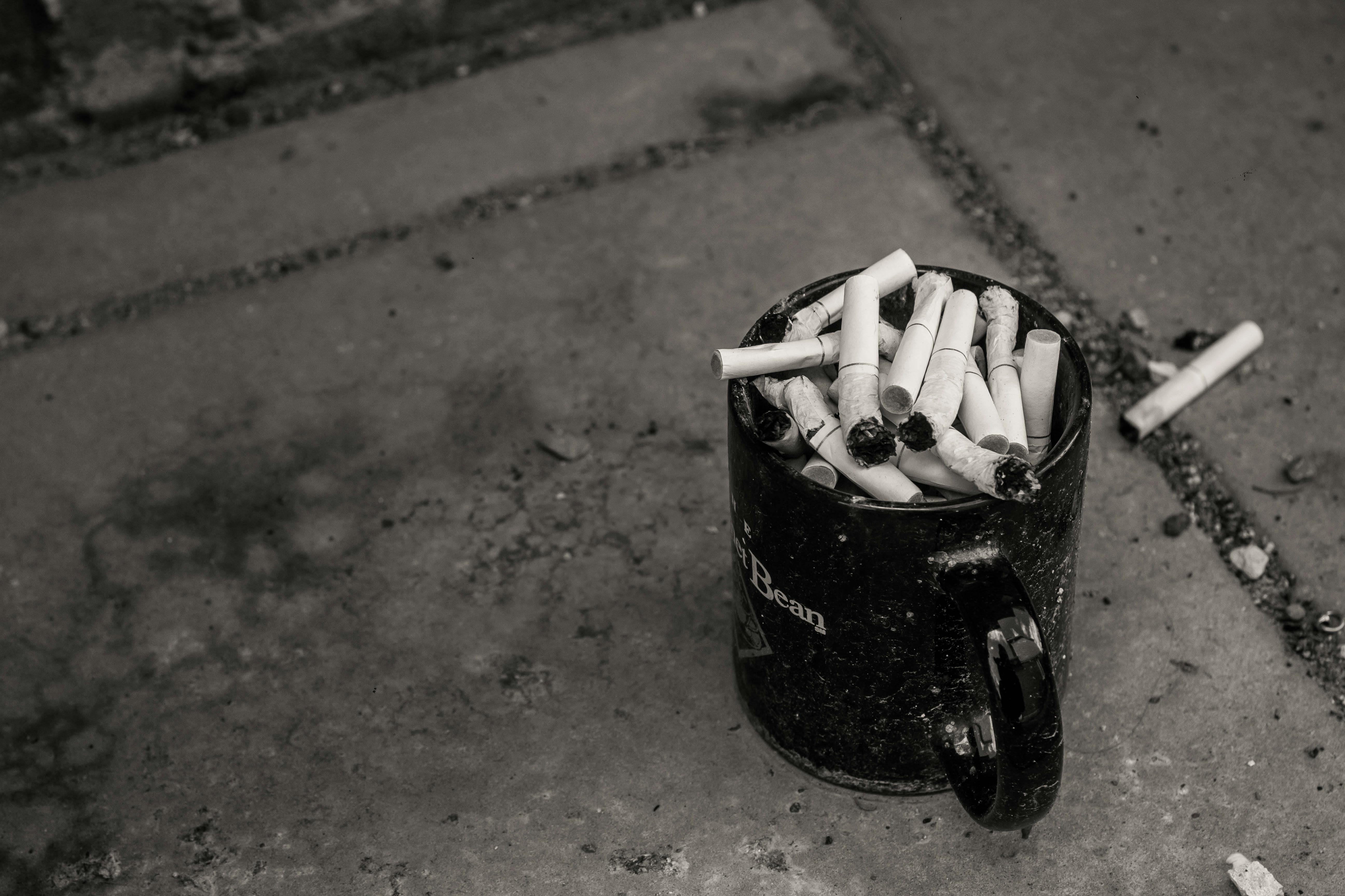 Butts Photos, Download The BEST Free Butts Stock Photos & HD Images