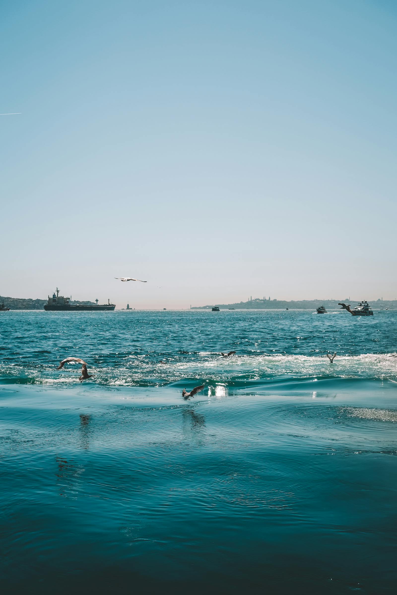 Ship Hull Photos, Download The BEST Free Ship Hull Stock Photos & HD Images