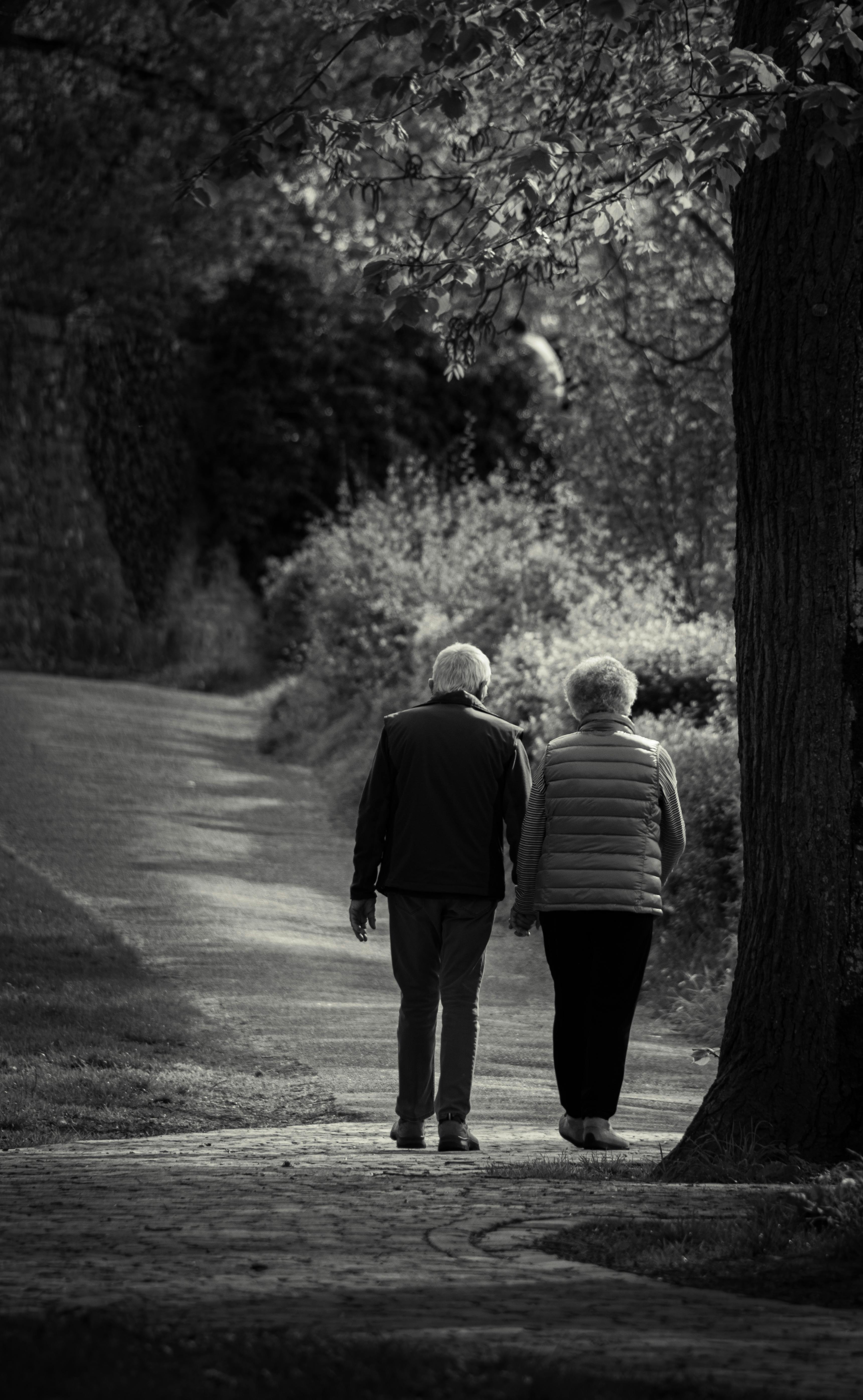 Extended Family Photos, Download The BEST Free Extended Family Stock ...