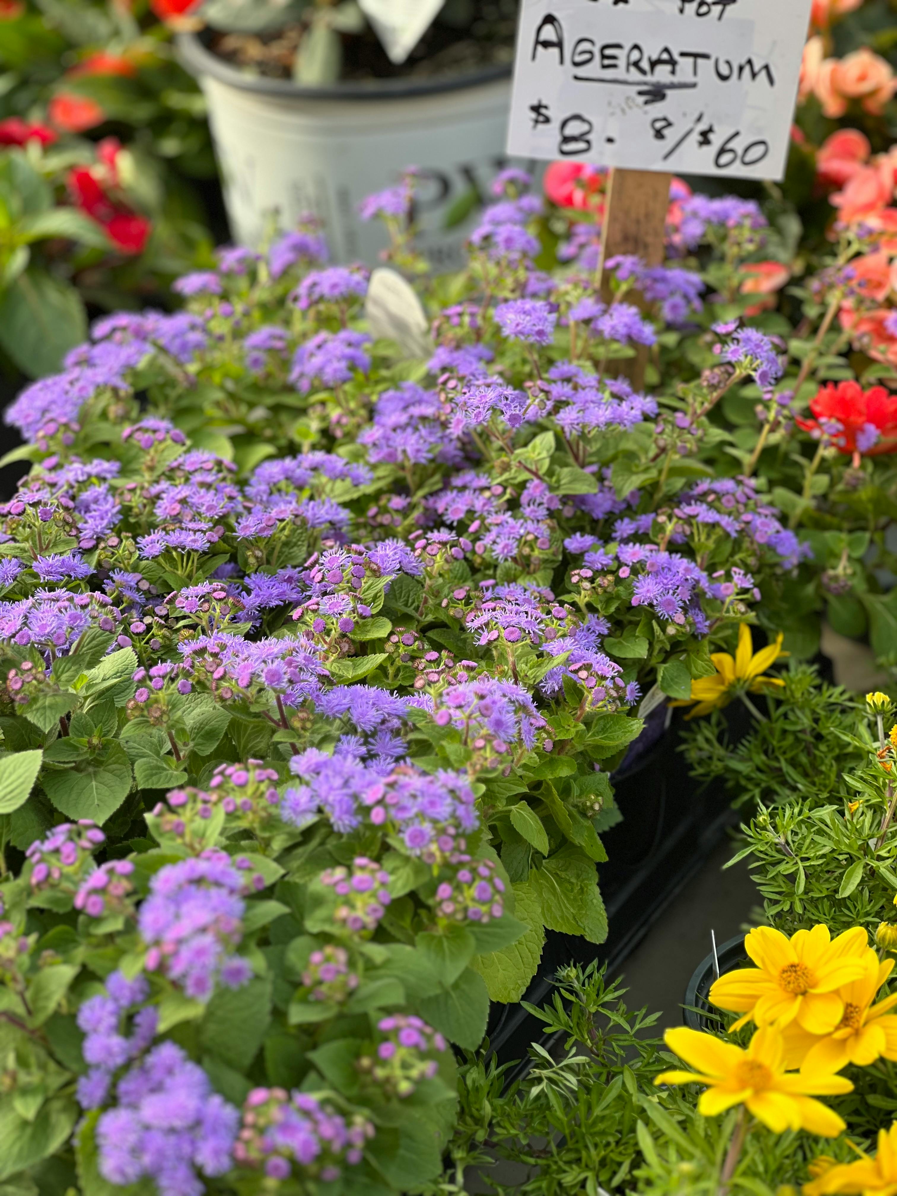 Marketers Photos, Download The BEST Free Marketers Stock Photos & HD Images