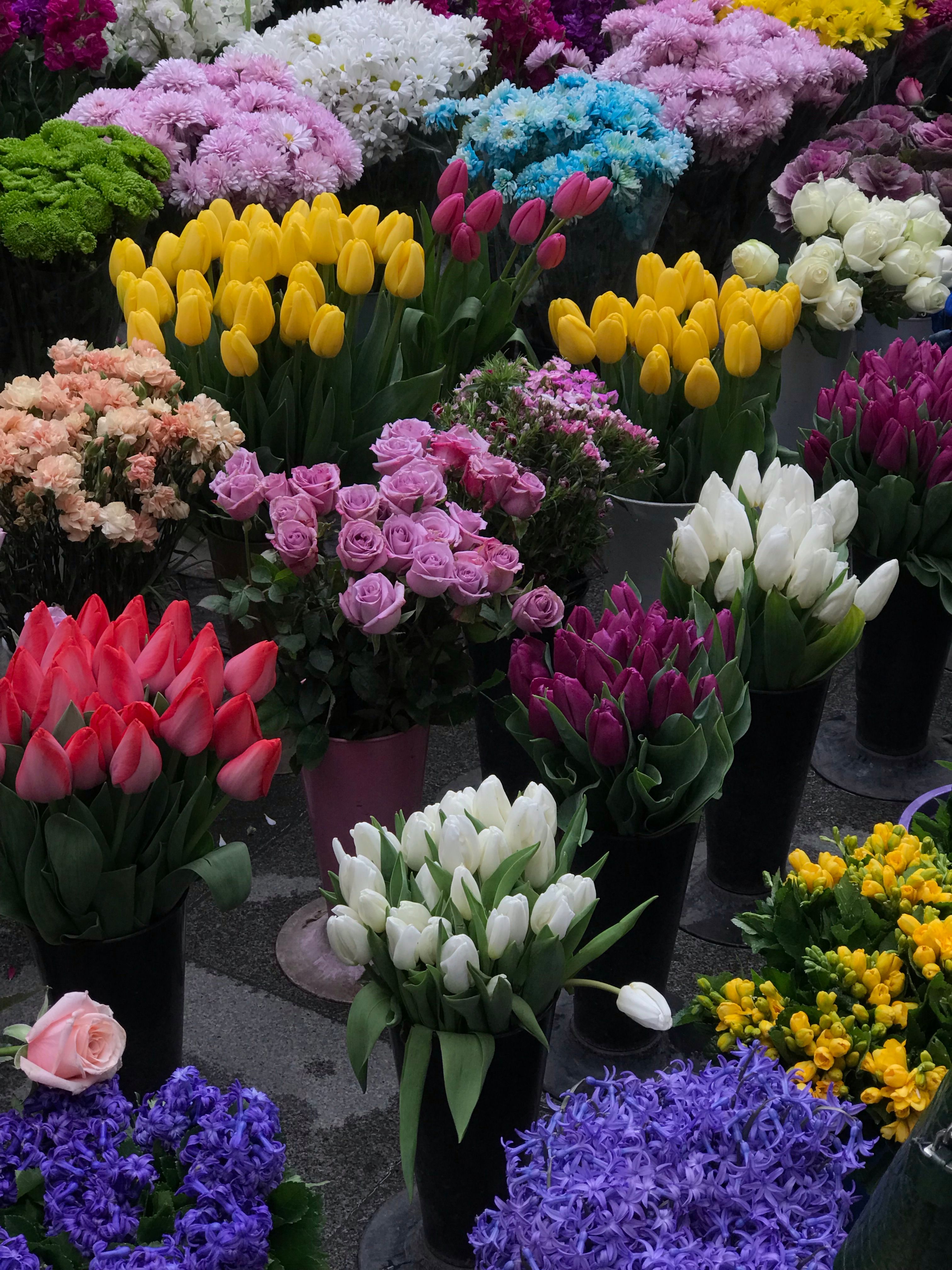 A flower market with many different types of flowers · Free Stock Photo