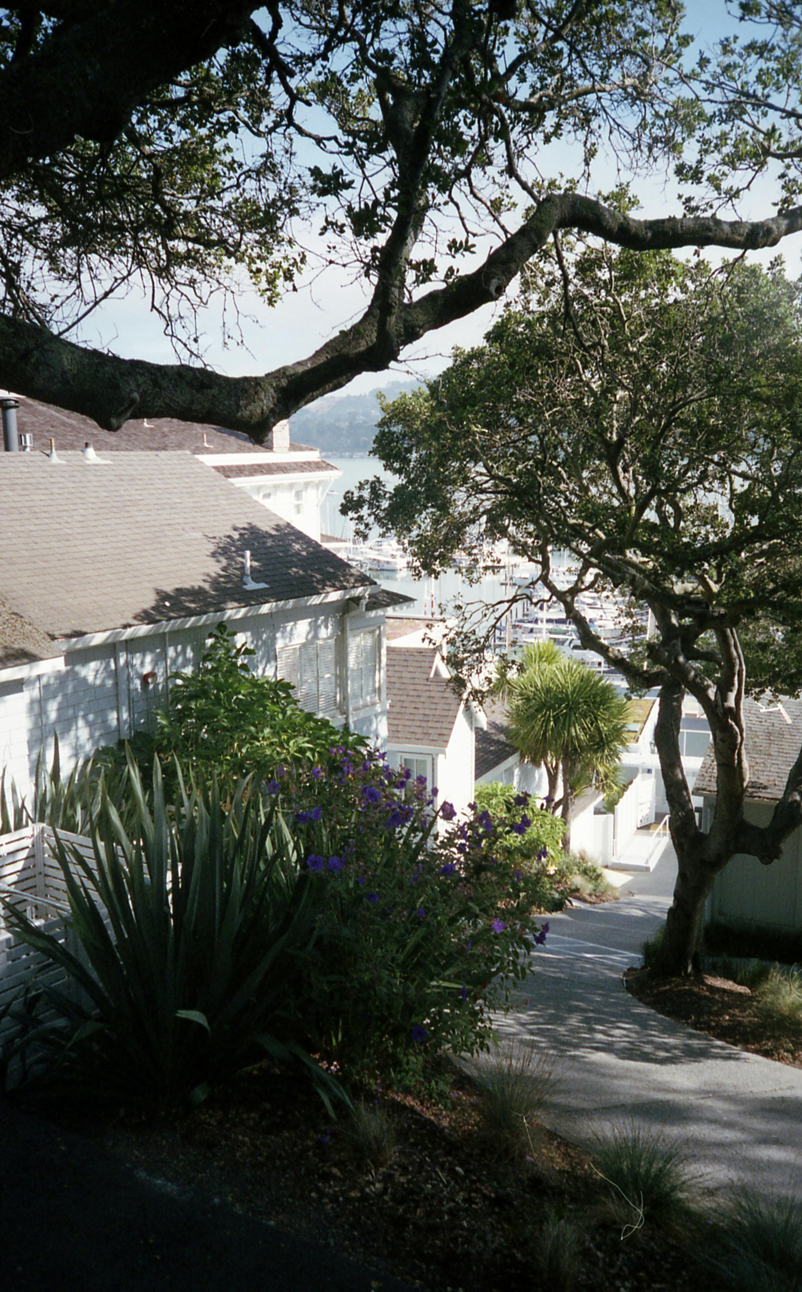 View of Building Exterior · Free Stock Photo