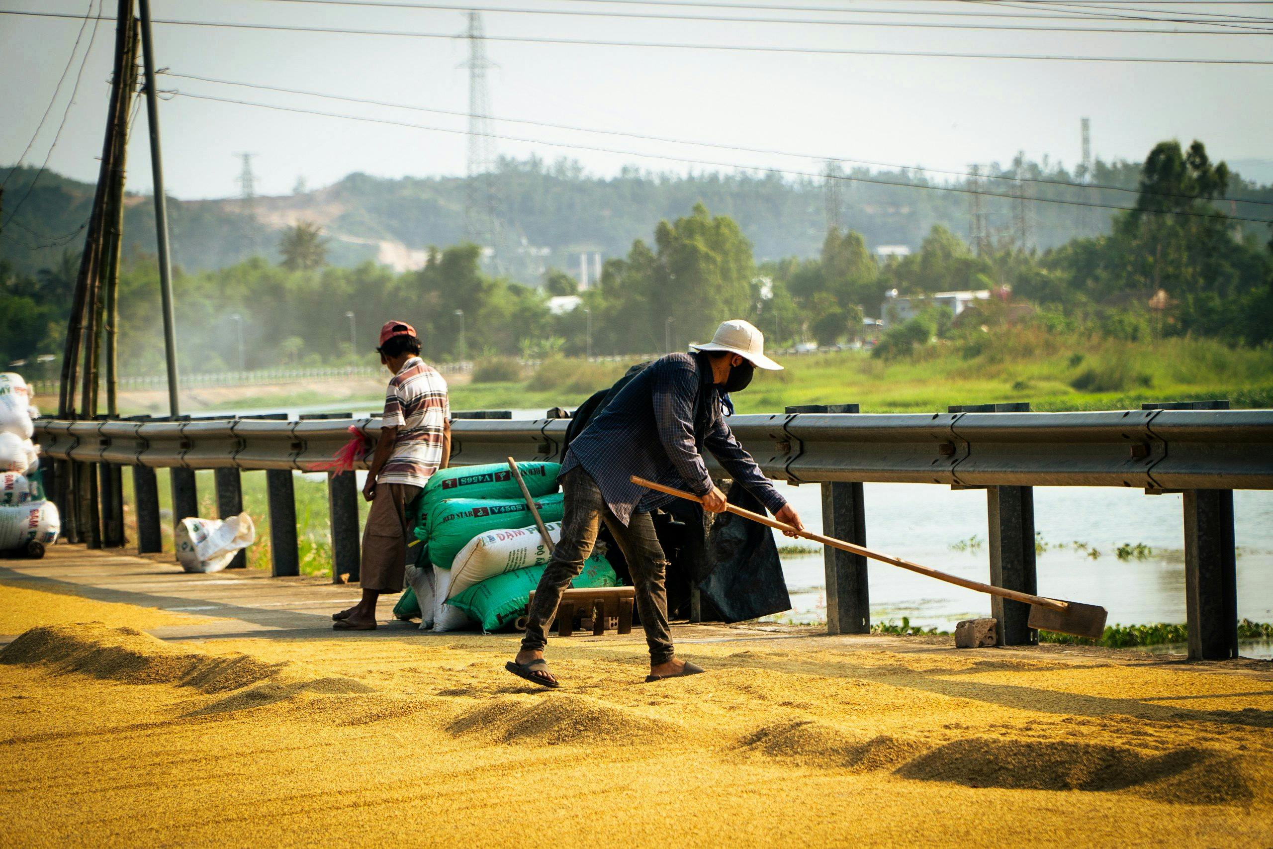 Man Raking Sand on a Rural Bridge · Free Stock Photo