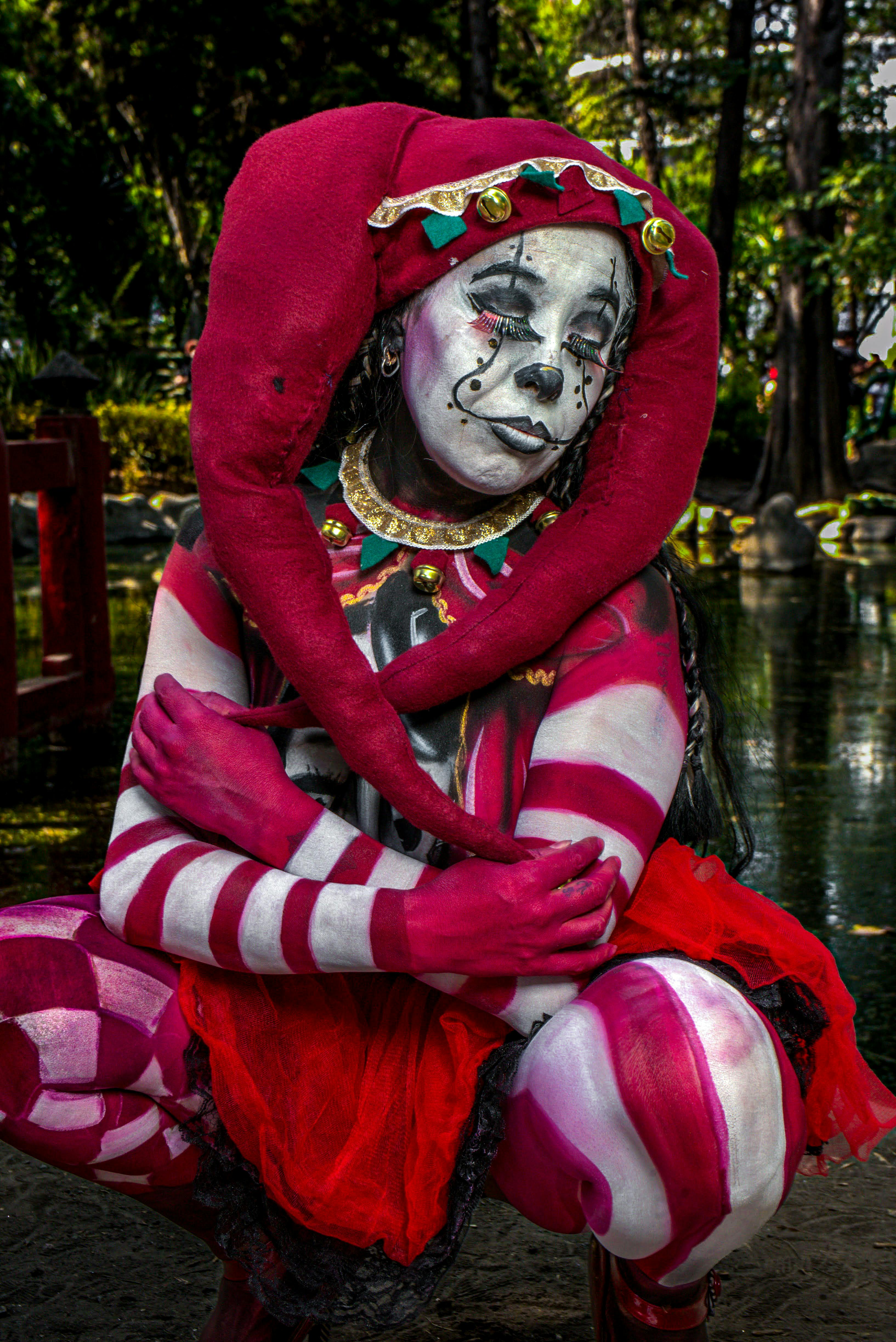 Portrait of a Woman Wearing Body Paint and a Jester Costume · Free ...