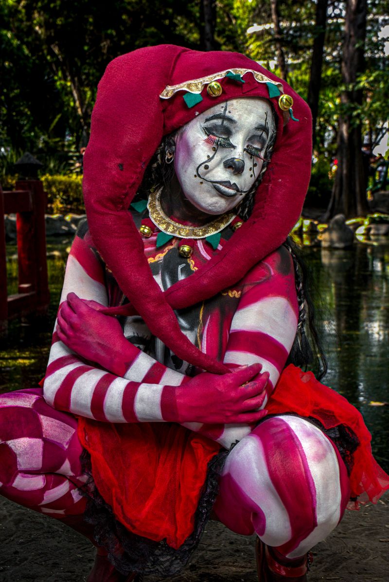 Jester Photos, Download The BEST Free Jester Stock Photos & HD Images