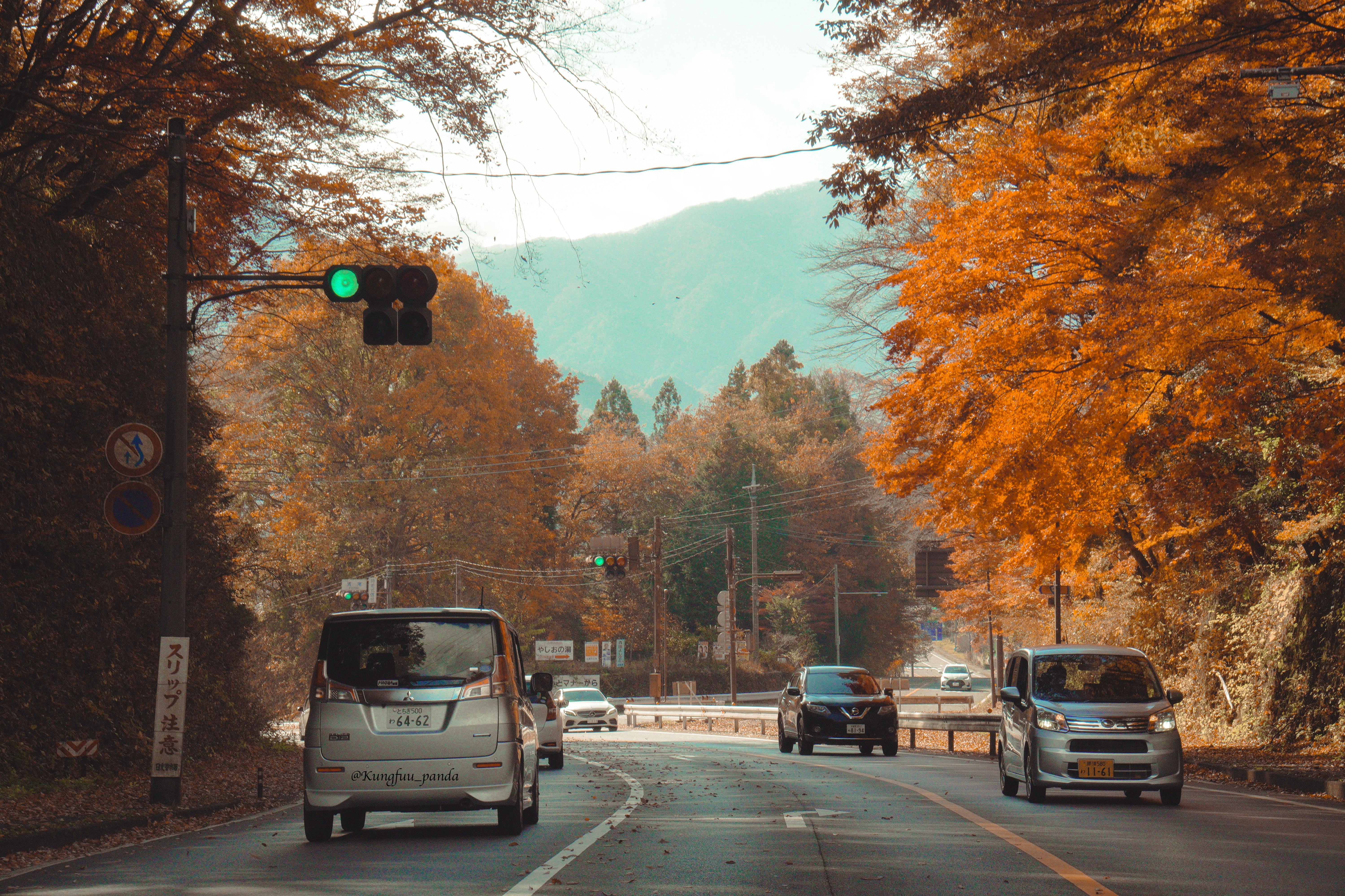 Cars on Street in Autumn · Free Stock Photo
