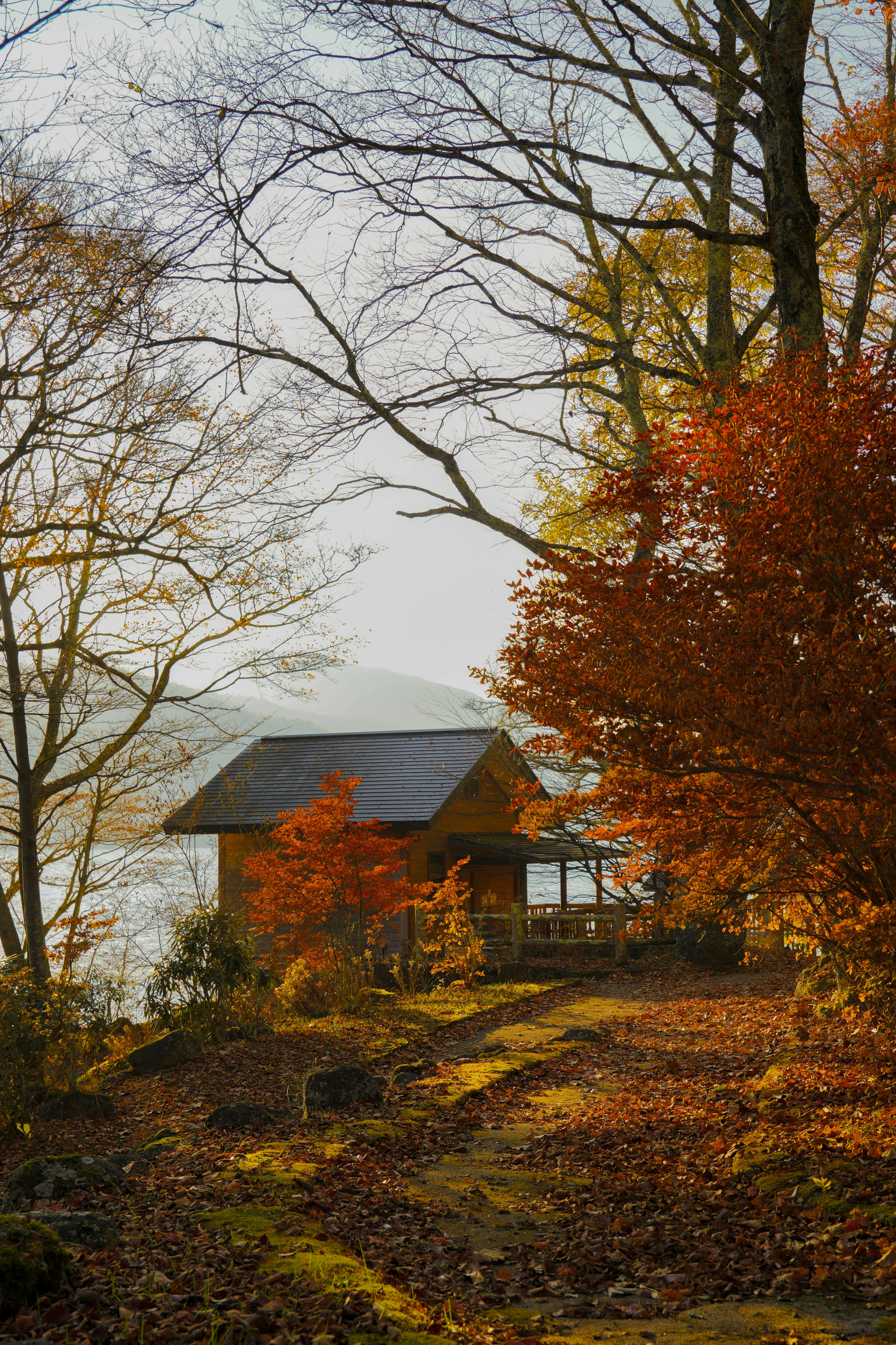 Rural house with field in countryside · Free Stock Photo