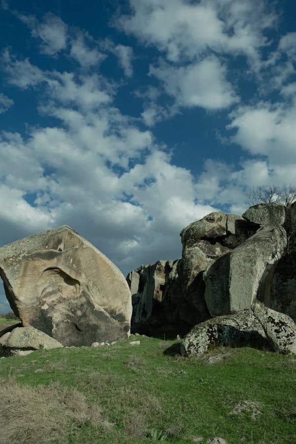 Giant Panda Photos, Download The BEST Free Giant Panda Stock Photos ...