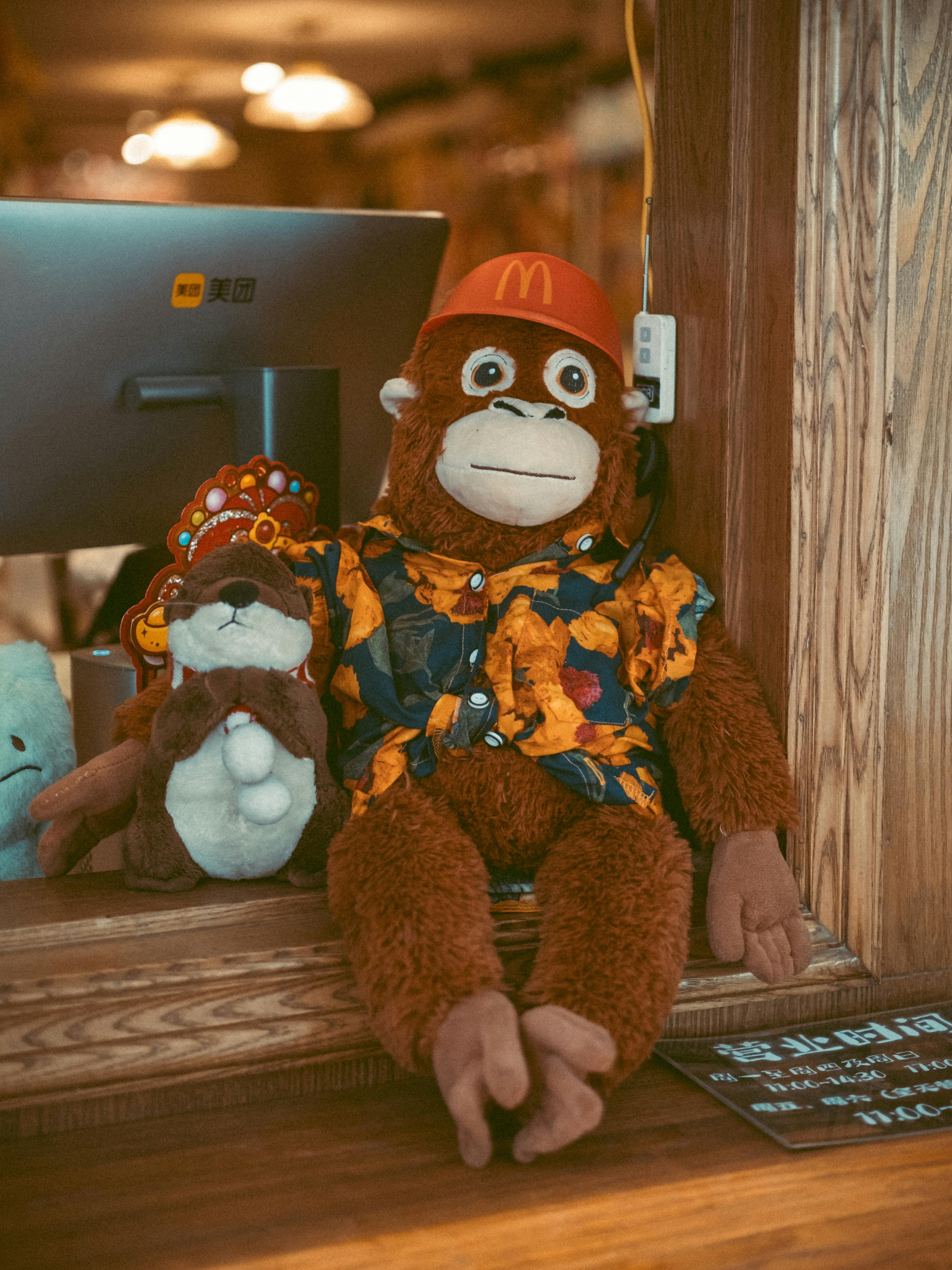 Plush Toys · Free Stock Photo