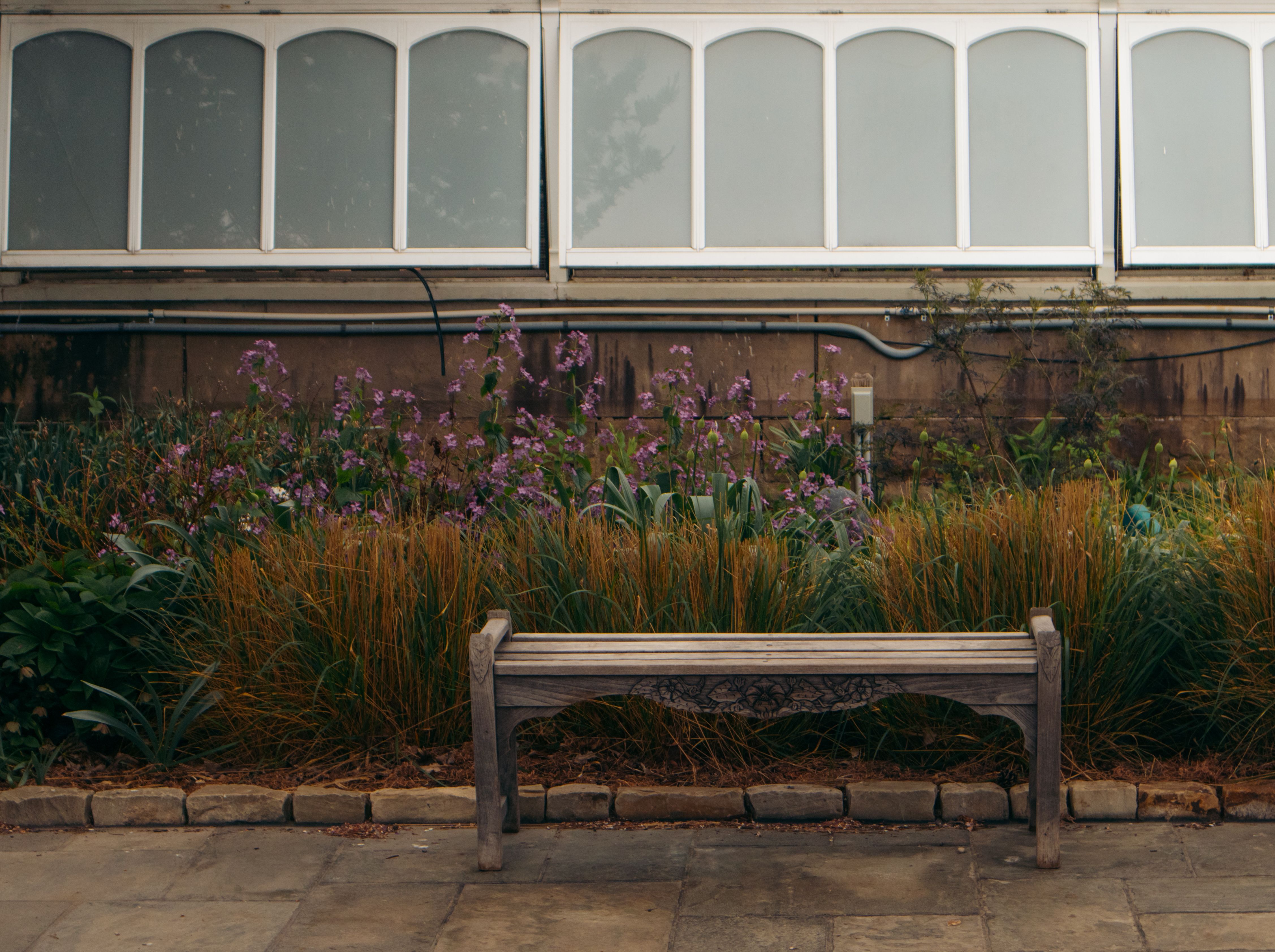 Bench and Flowers near Building in Garden · Free Stock Photo