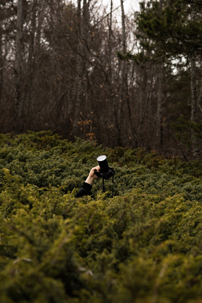 Hidden Camera Photos, Download The BEST Free Hidden Camera Stock Photos ...