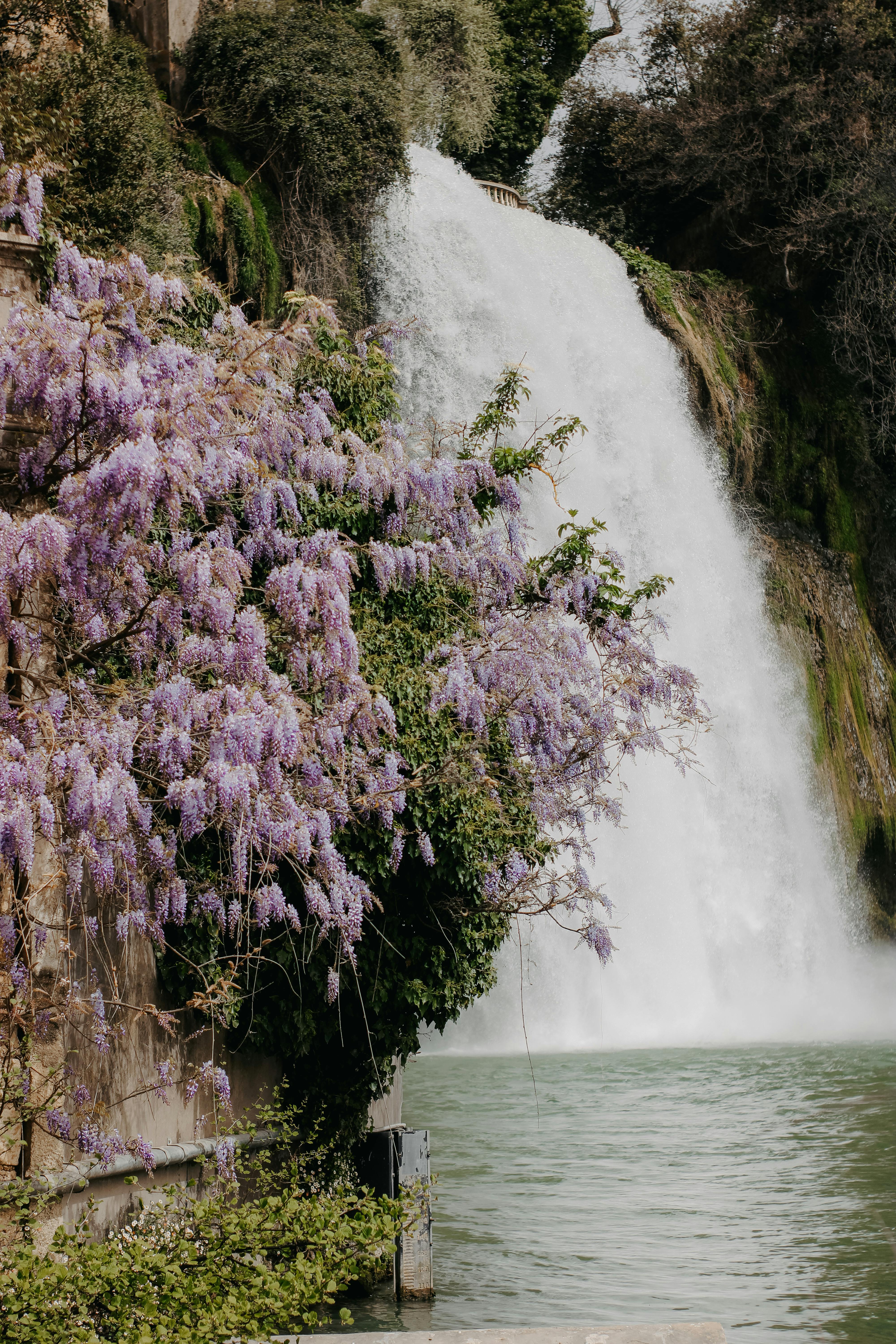 Purple Waterfall Photos, Download The BEST Free Purple Waterfall Stock ...