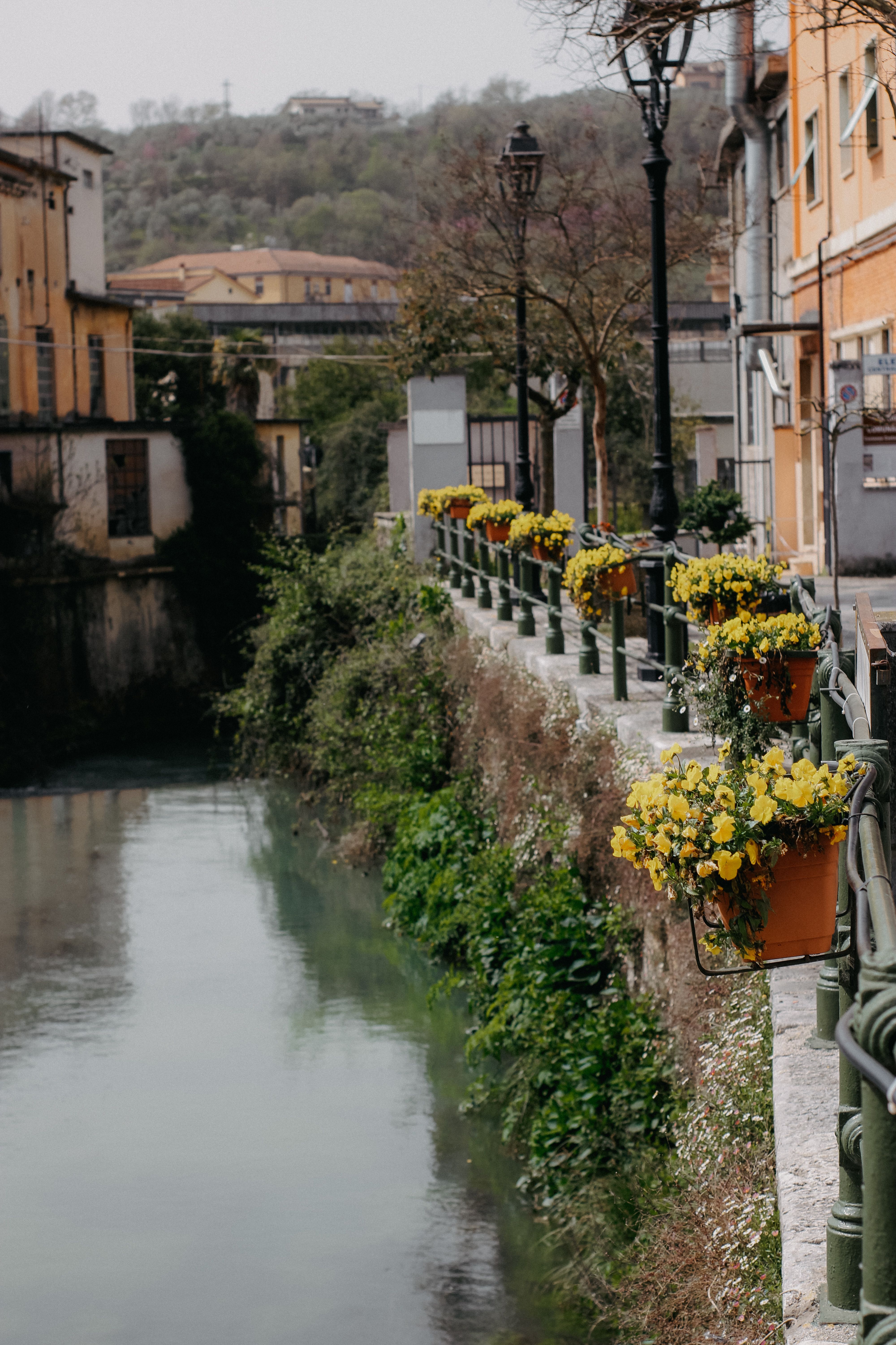 Flowers in Flower Pots over River in Town · Free Stock Photo