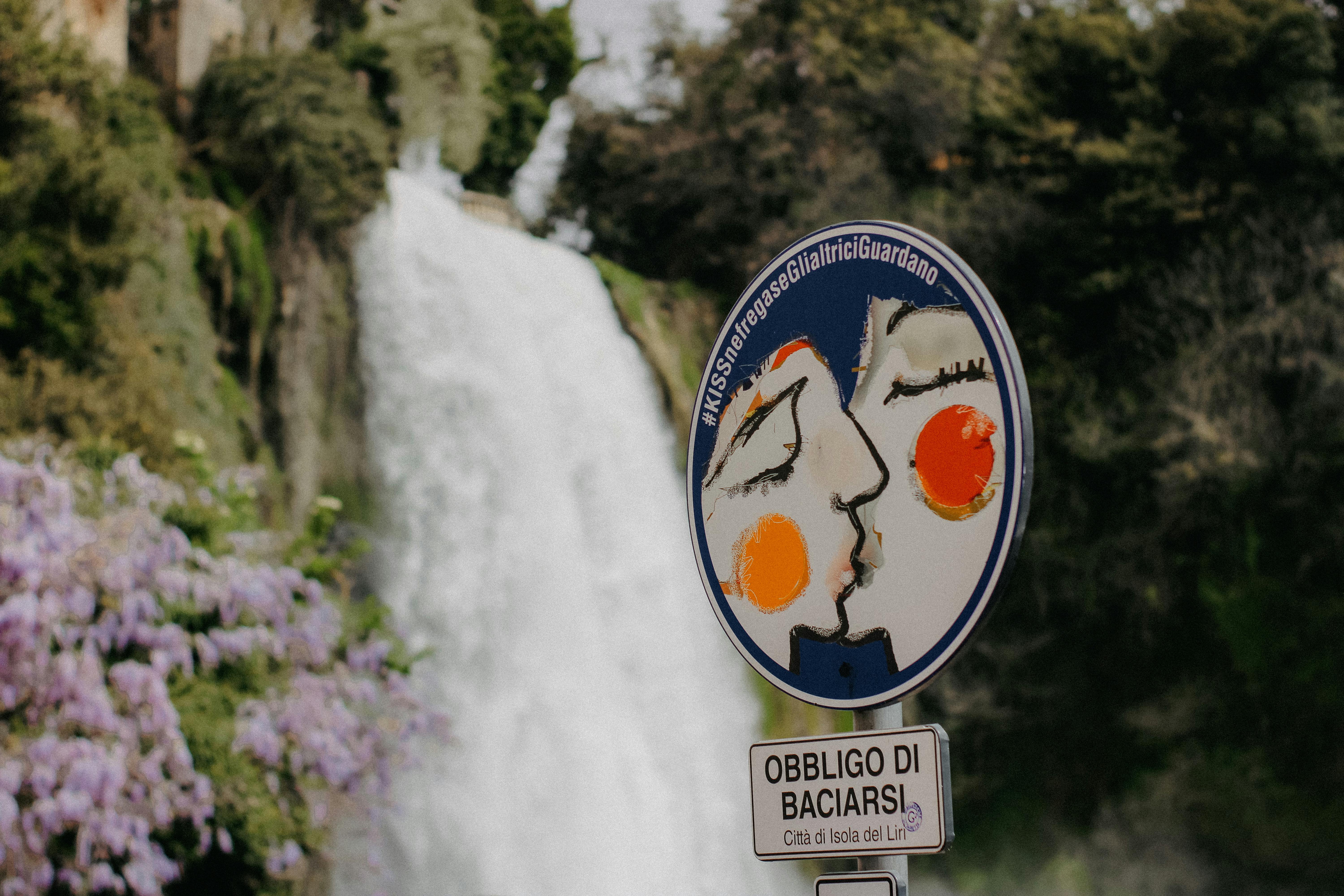 Signal Flower Photos, Download The BEST Free Signal Flower Stock Photos ...