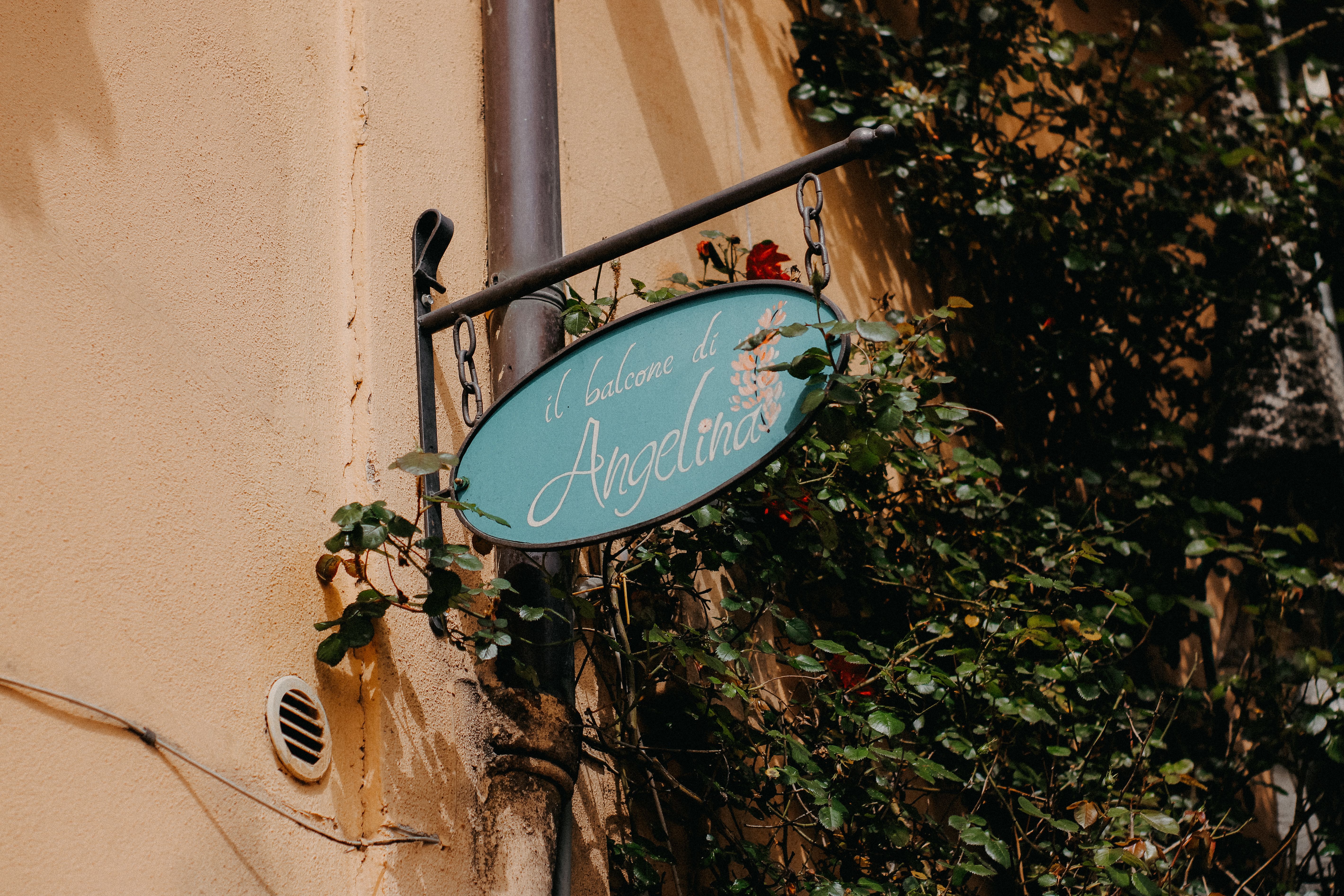 Ivy Leaves and Board over Wall · Free Stock Photo