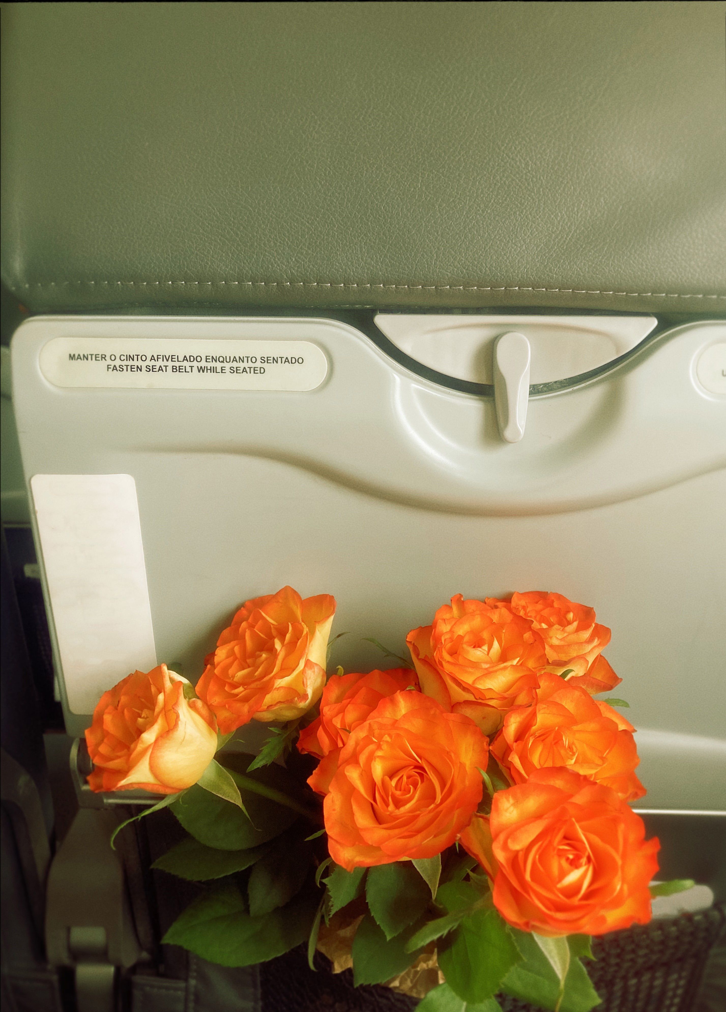 Airplane Tray Photos, Download The BEST Free Airplane Tray Stock Photos ...