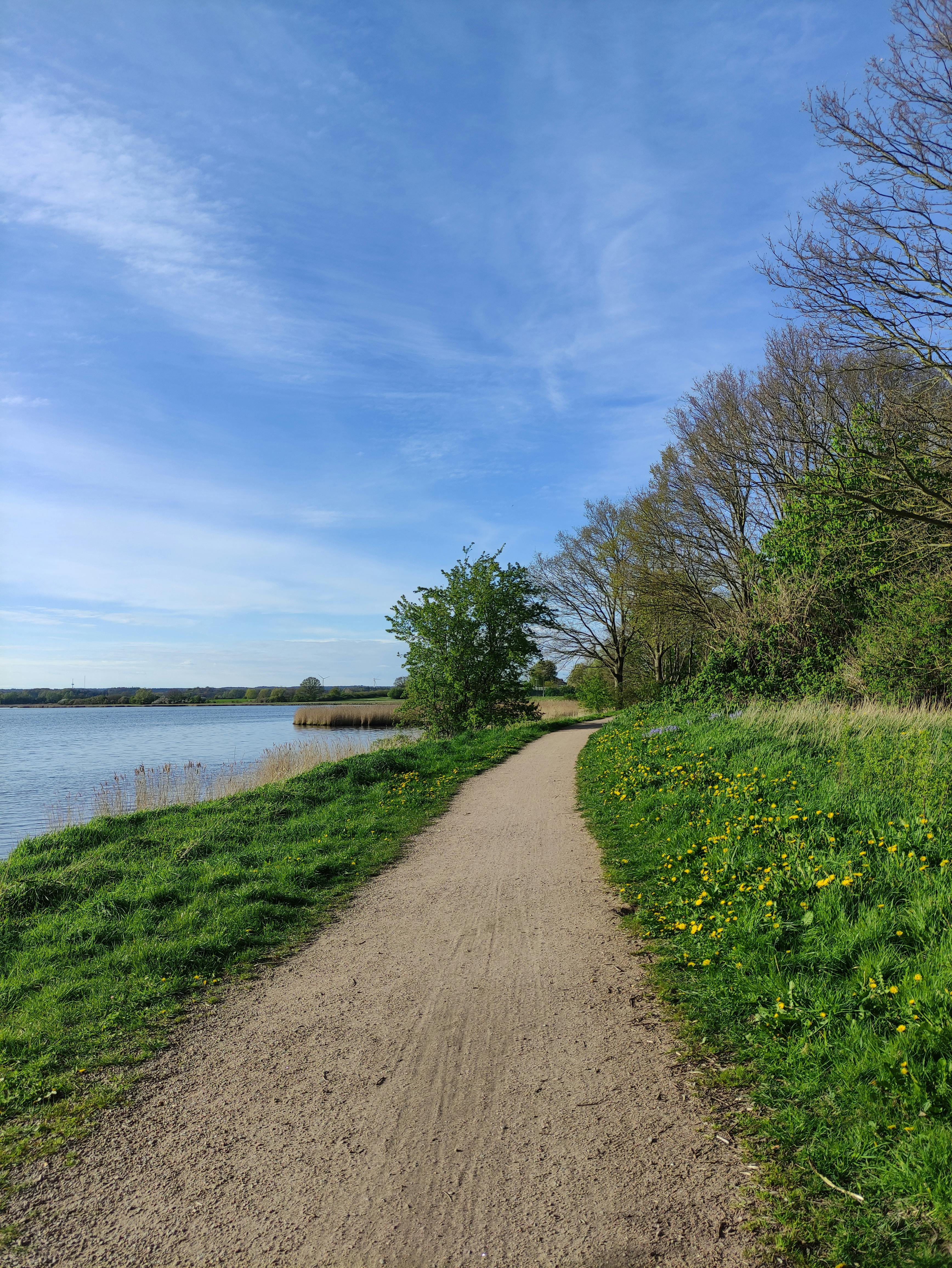 Footpath near Lake in Countryside · Free Stock Photo