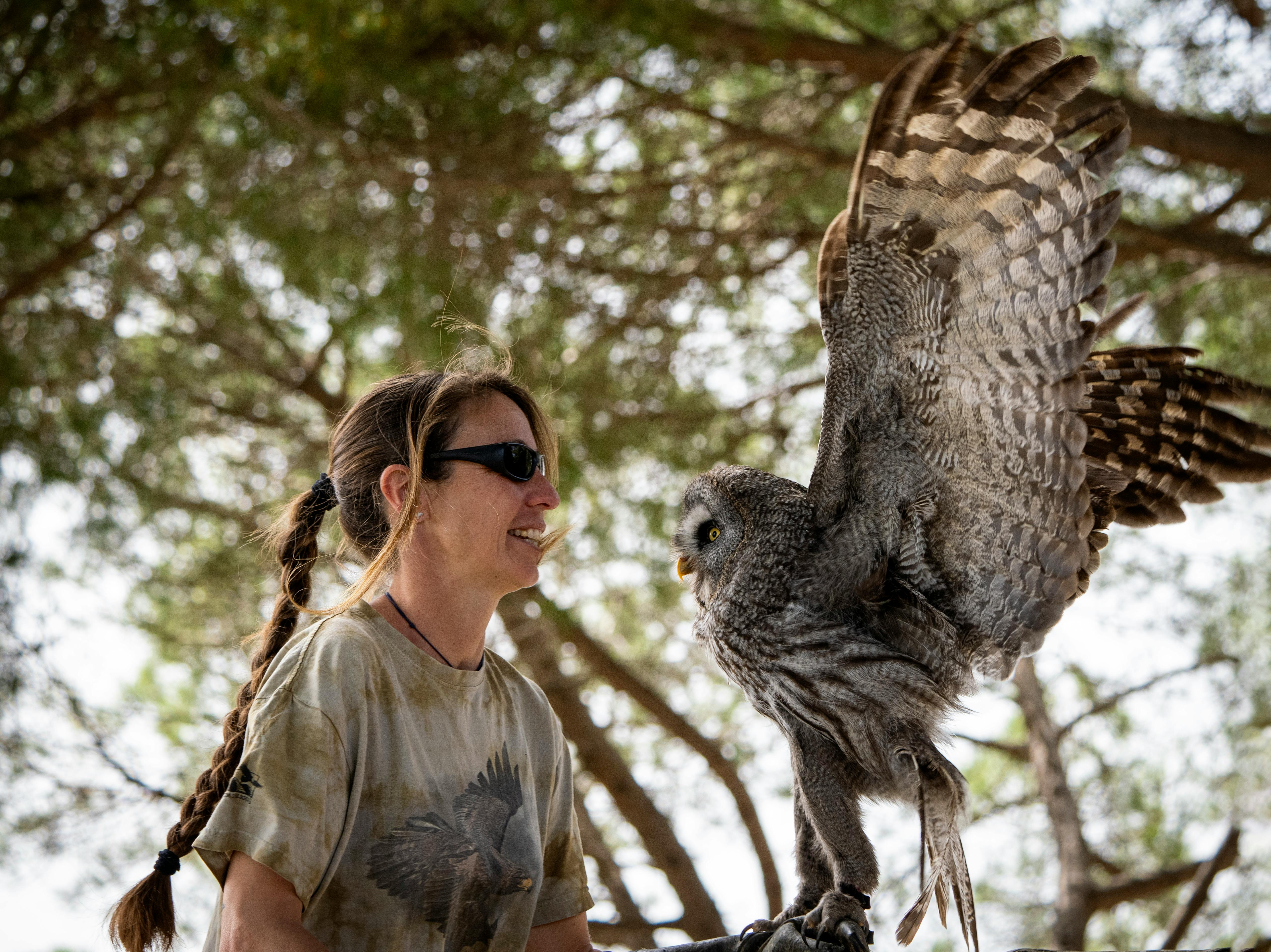 Hawk Handler Photos, Download The BEST Free Hawk Handler Stock Photos ...