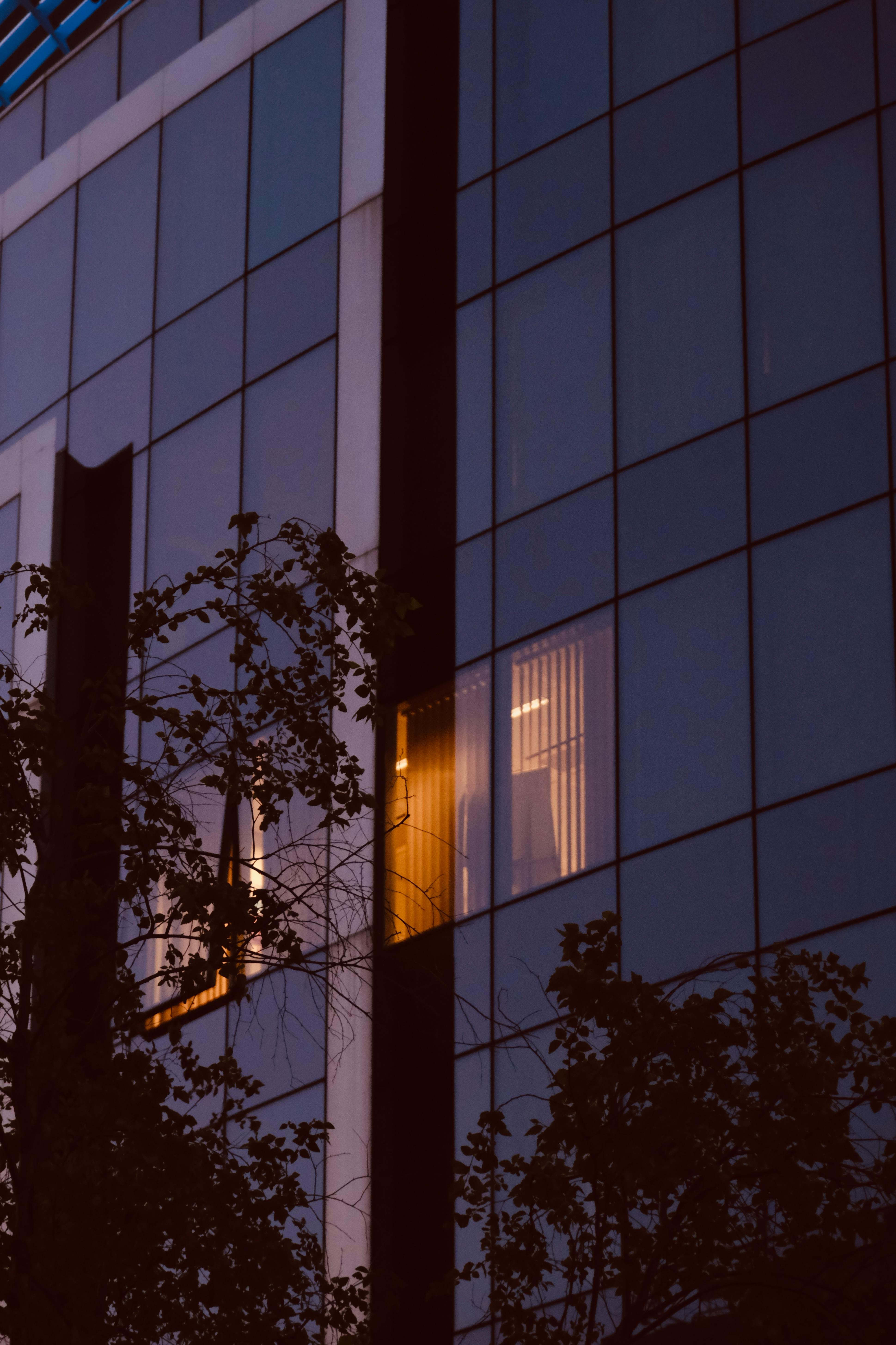 Office Building Windows in Evening · Free Stock Photo