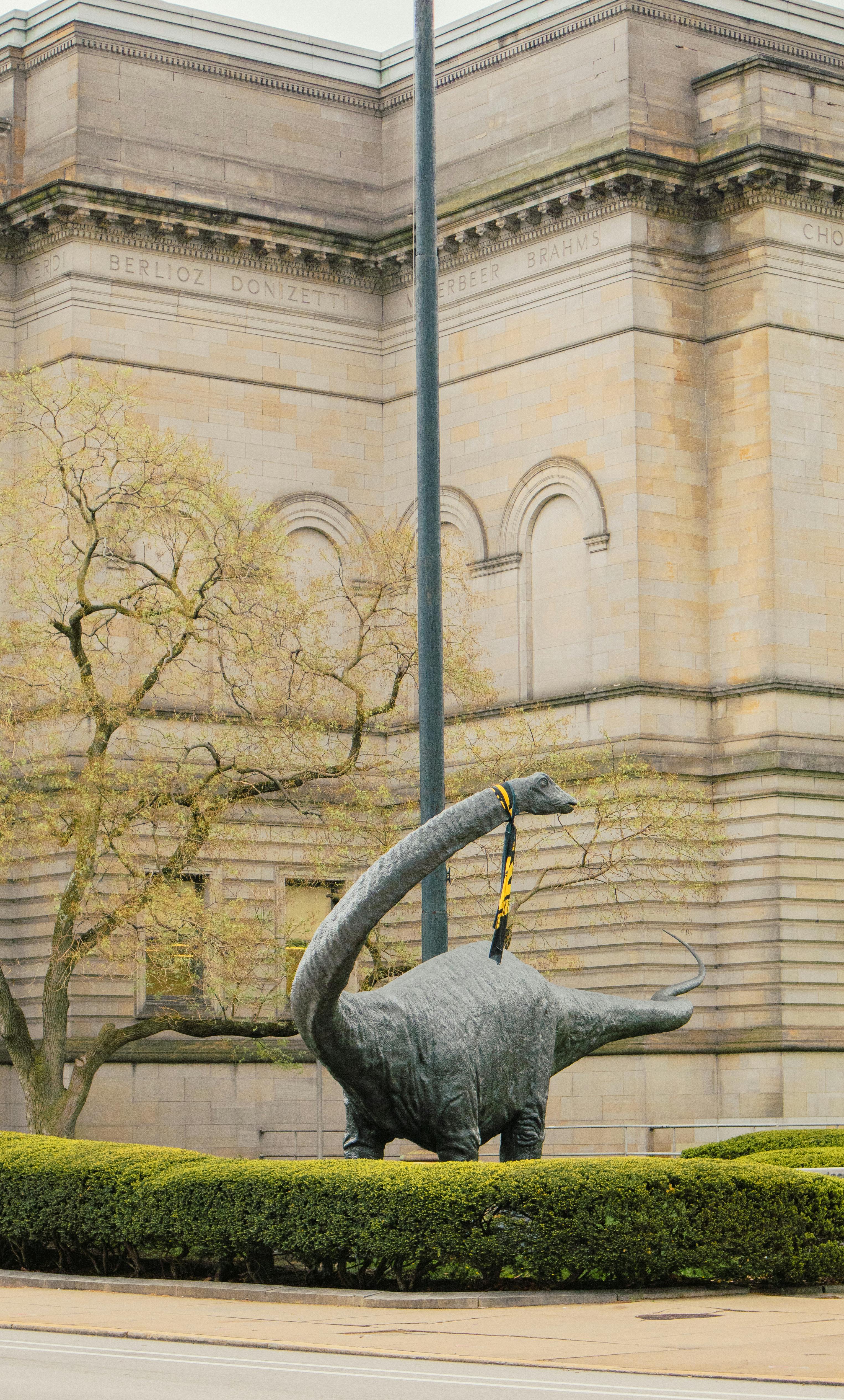 Carnegie Museums Pittsburgh Photos, Download The BEST Free Carnegie ...