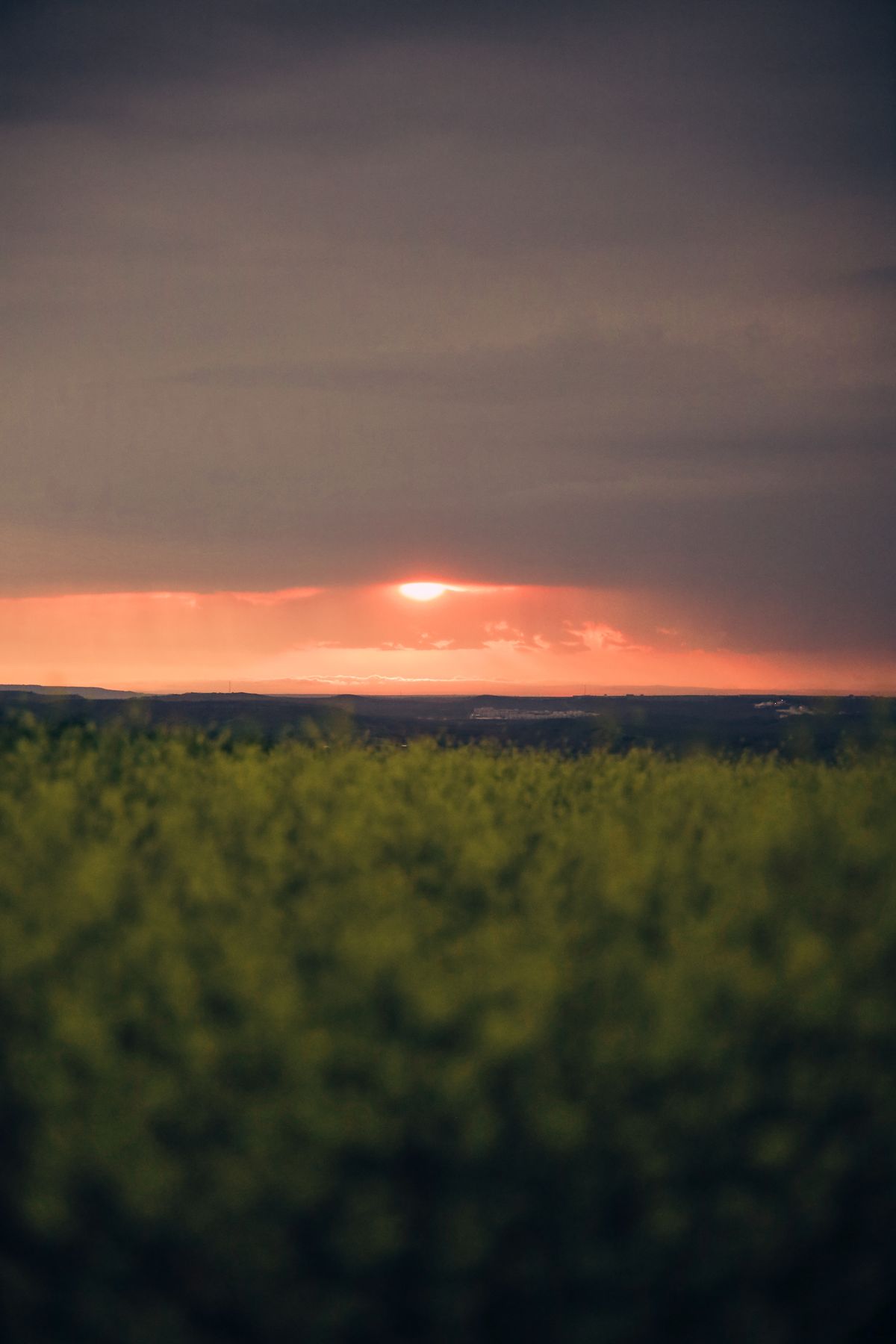 Field At Sunset Photos, Download The BEST Free Field At Sunset Stock ...