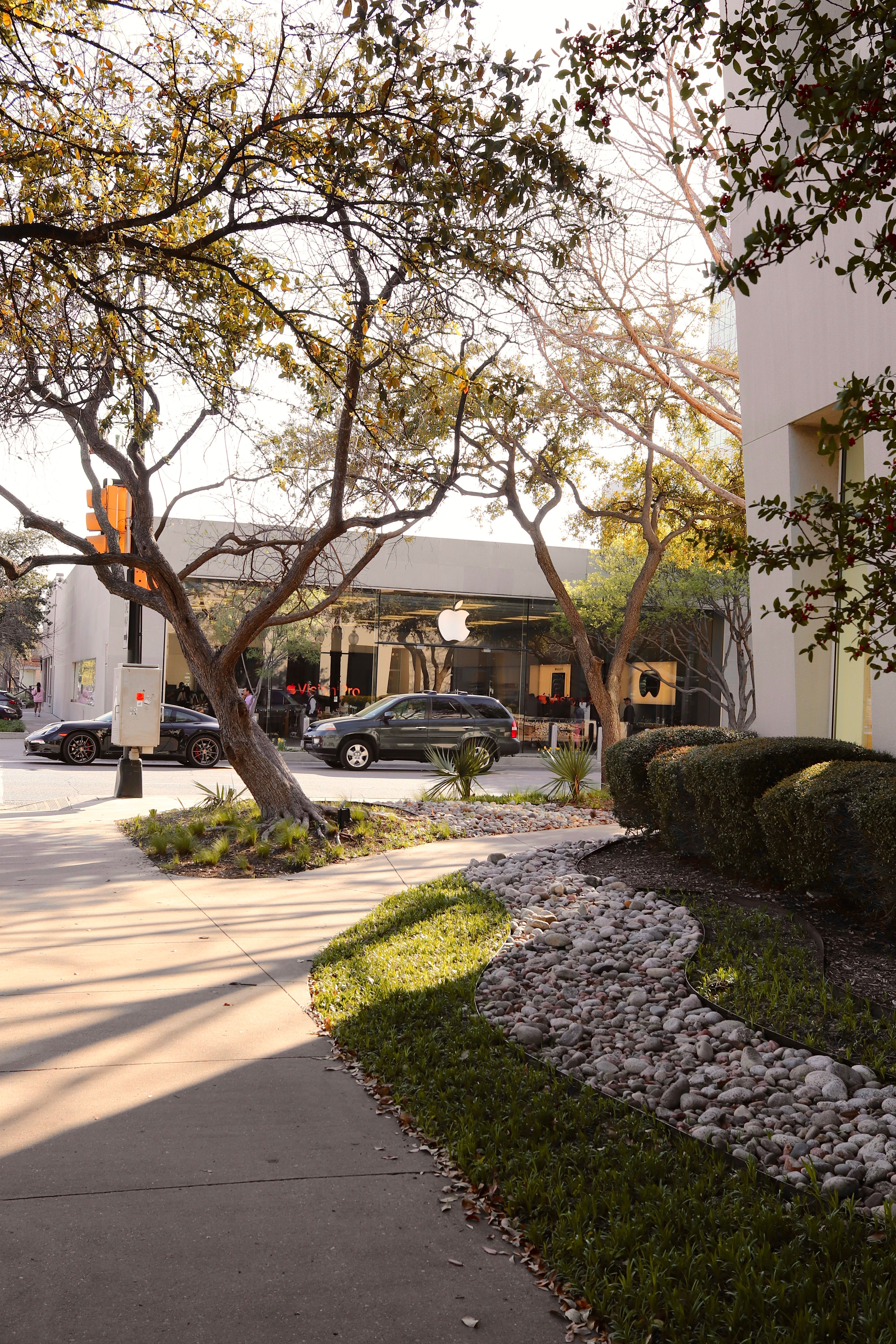 Apple Store behind Trees on Sidewalk · Free Stock Photo