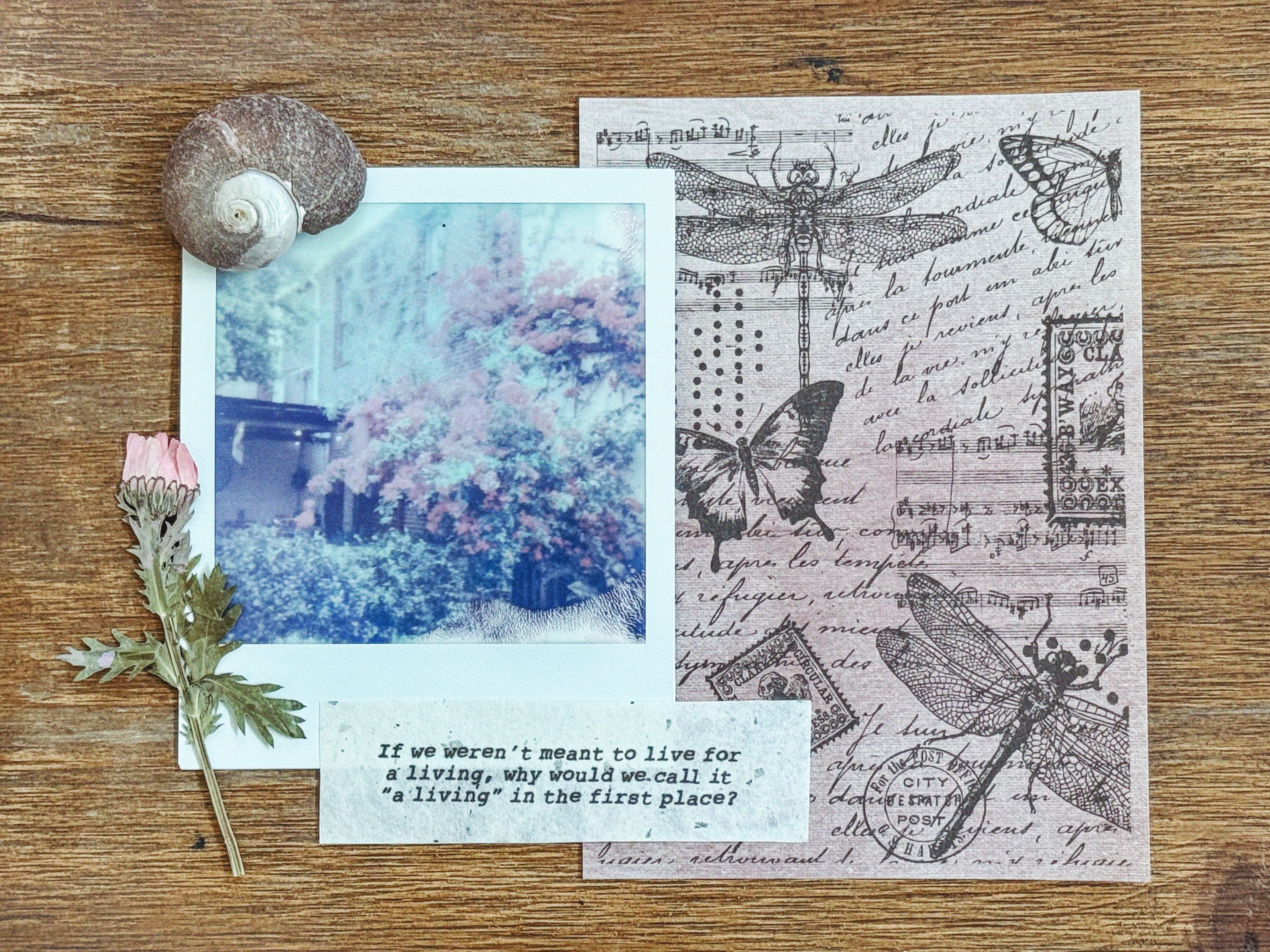 Mixed Collage Photos, Download The BEST Free Mixed Collage Stock Photos ...