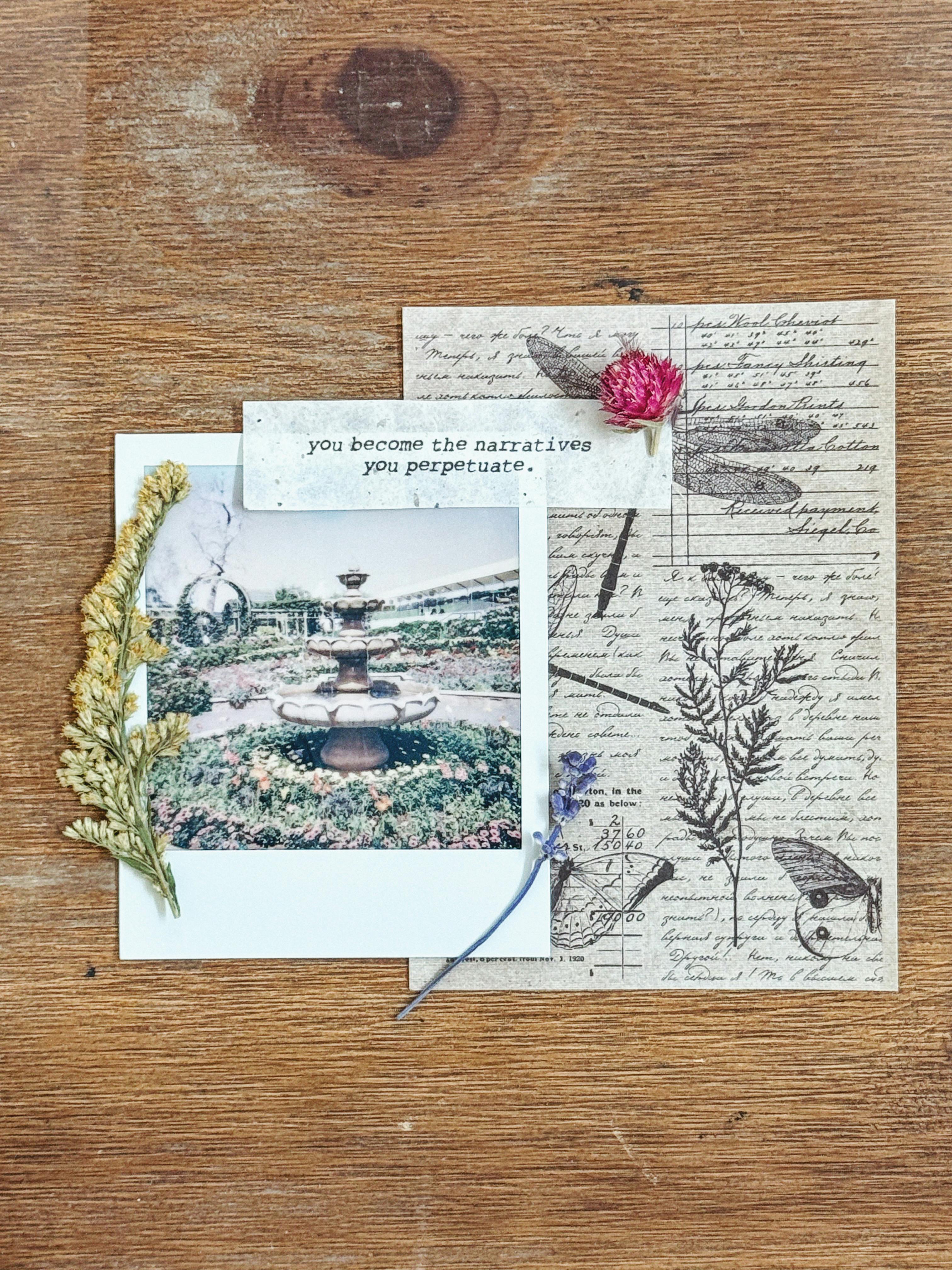 Collage with Text · Free Stock Photo