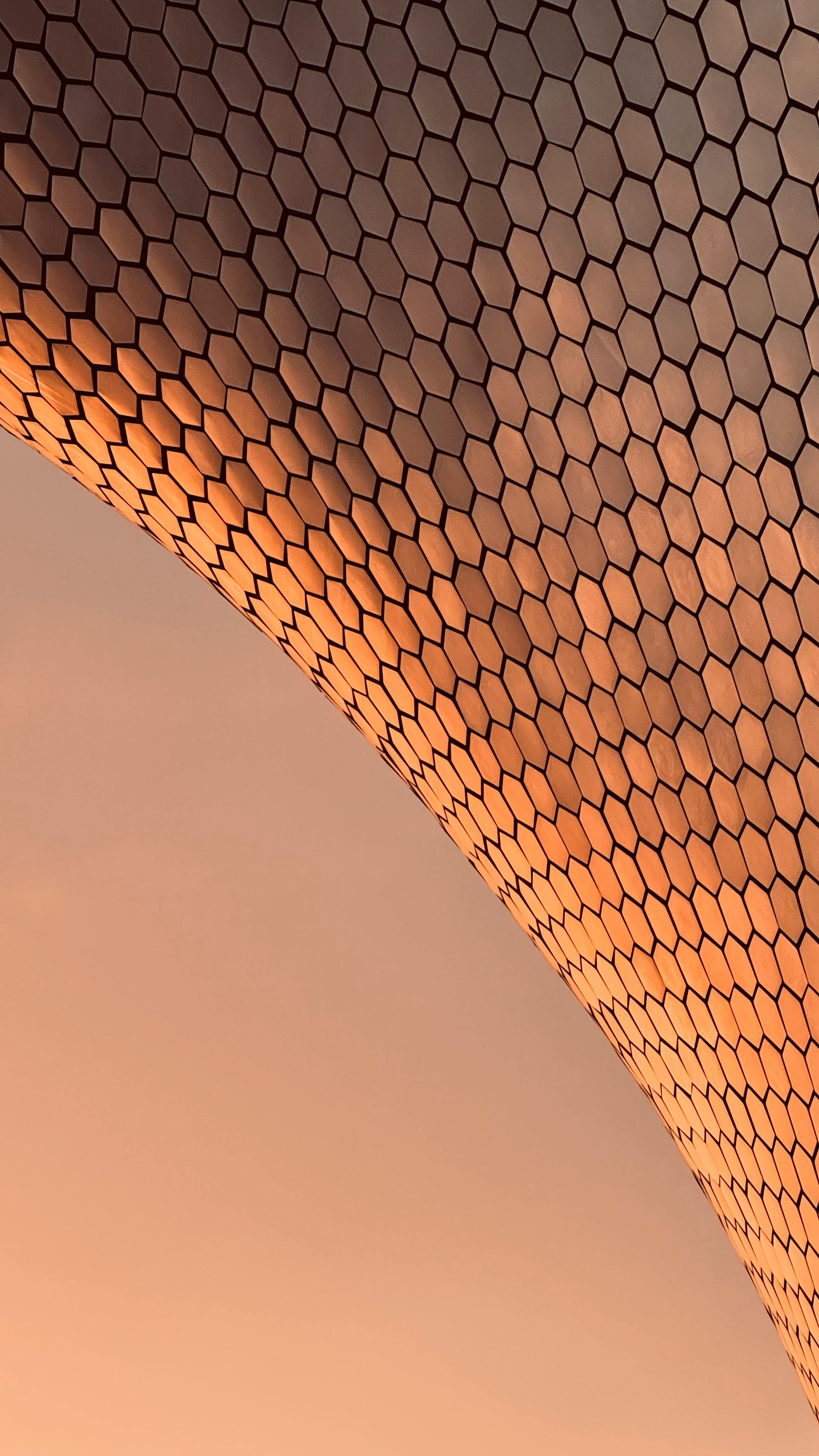 Atardecer Photos, Download The BEST Free Atardecer Stock Photos & HD Images