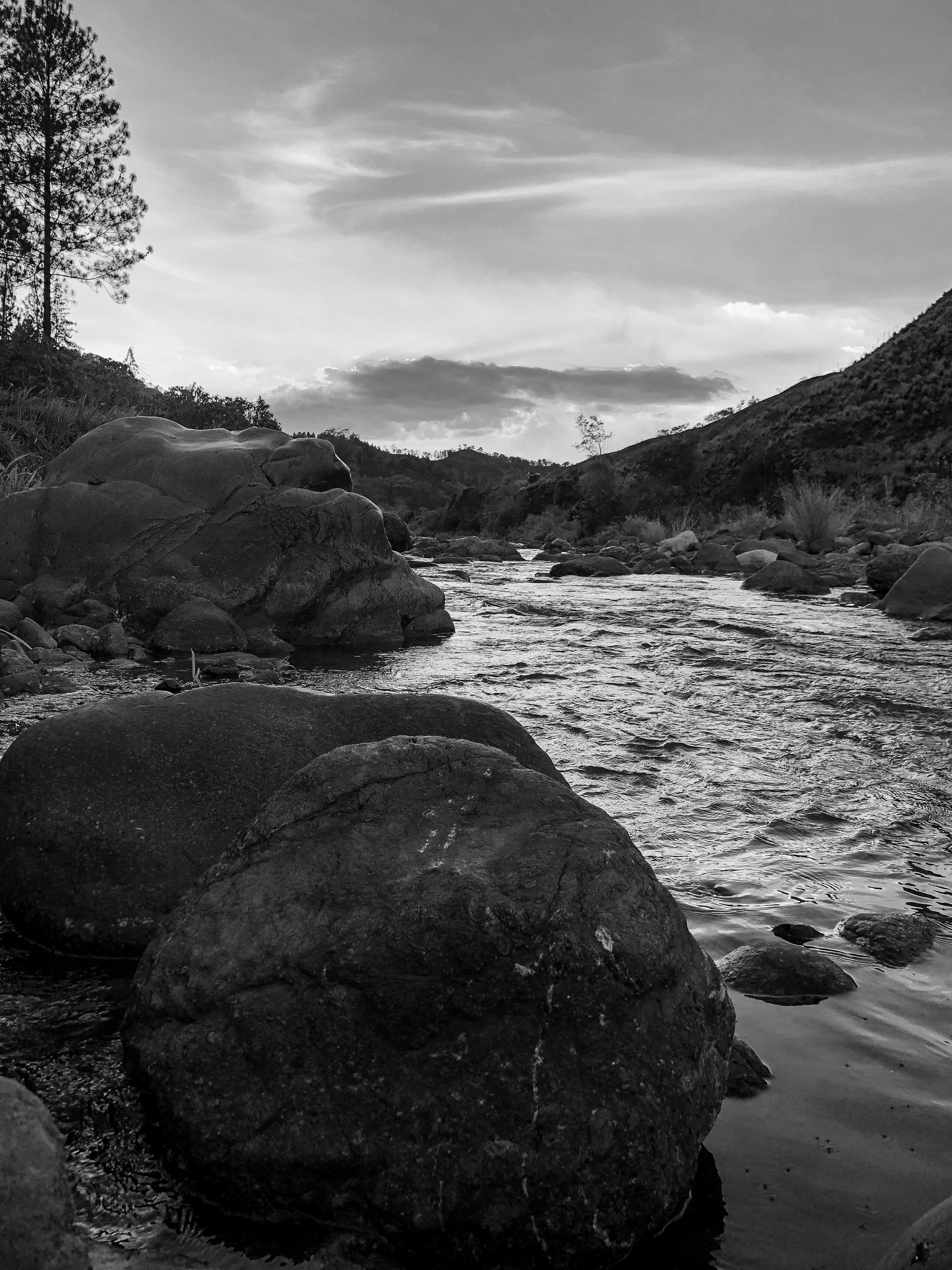 River in Black and White · Free Stock Photo