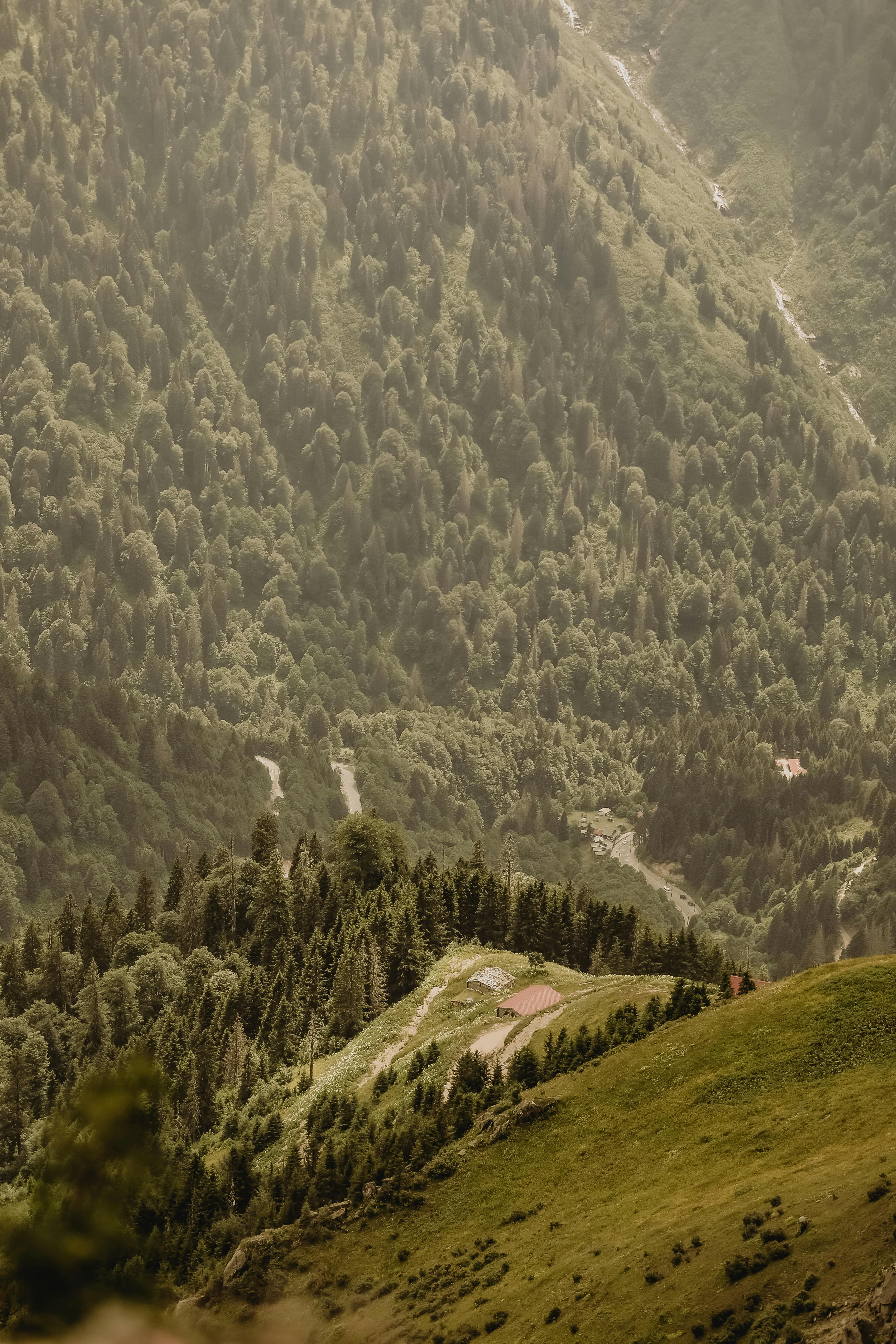 Ahmet Mert - Photography