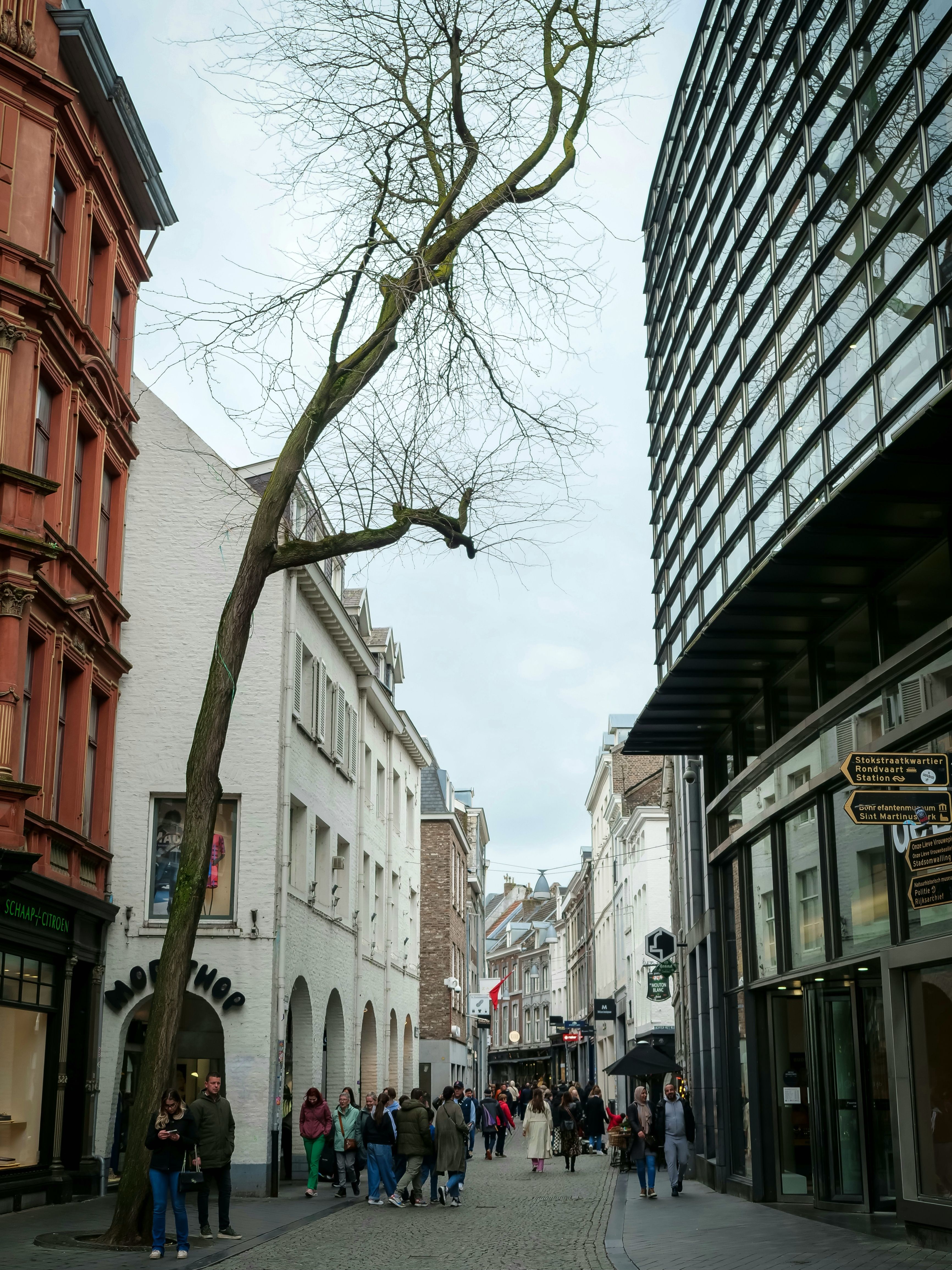 View of a Street between Buildings with Shops in a City · Free Stock Photo