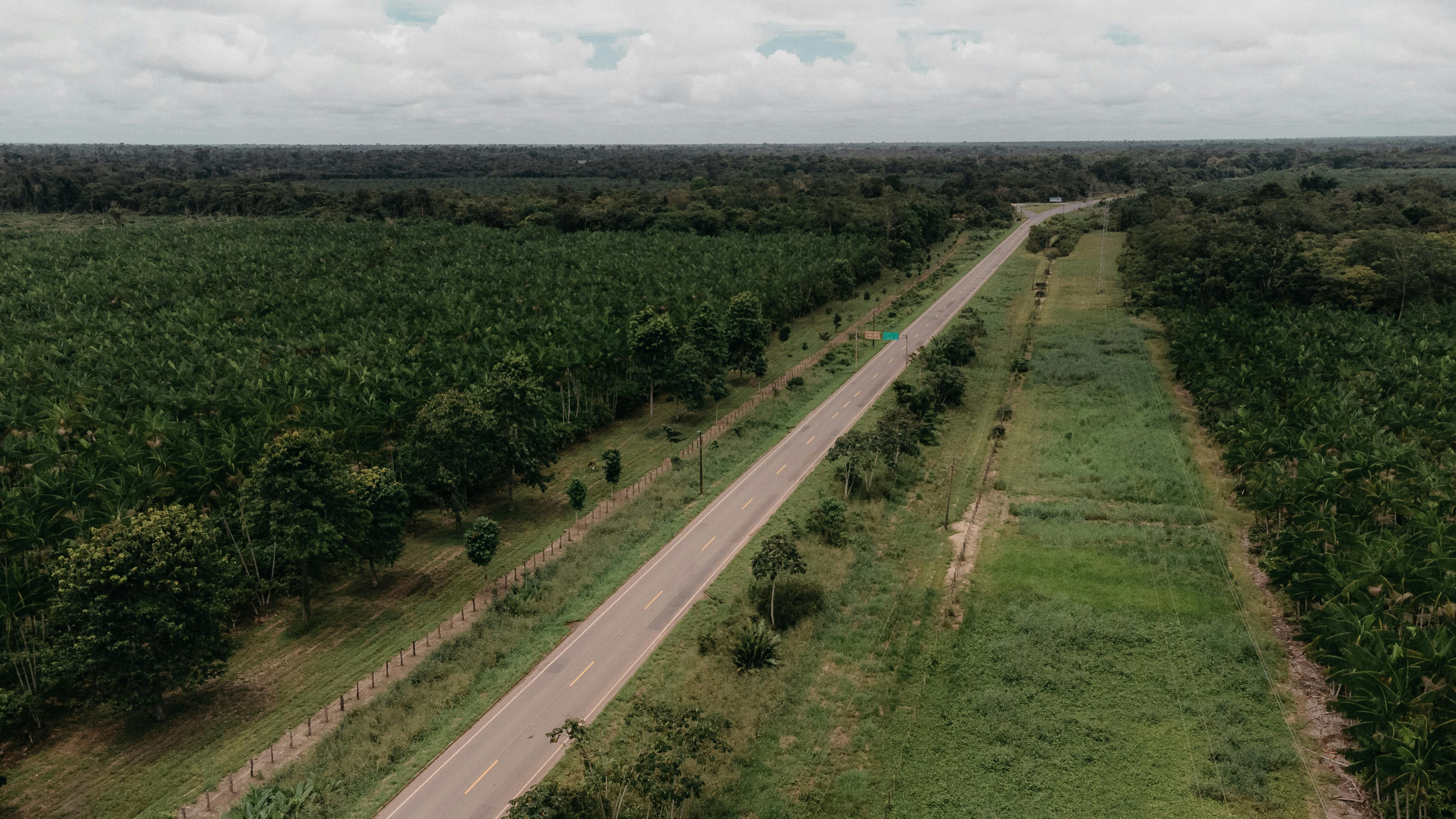 Foto profissional gratuita de áreas, brasil, campo, estrada, floresta ...
