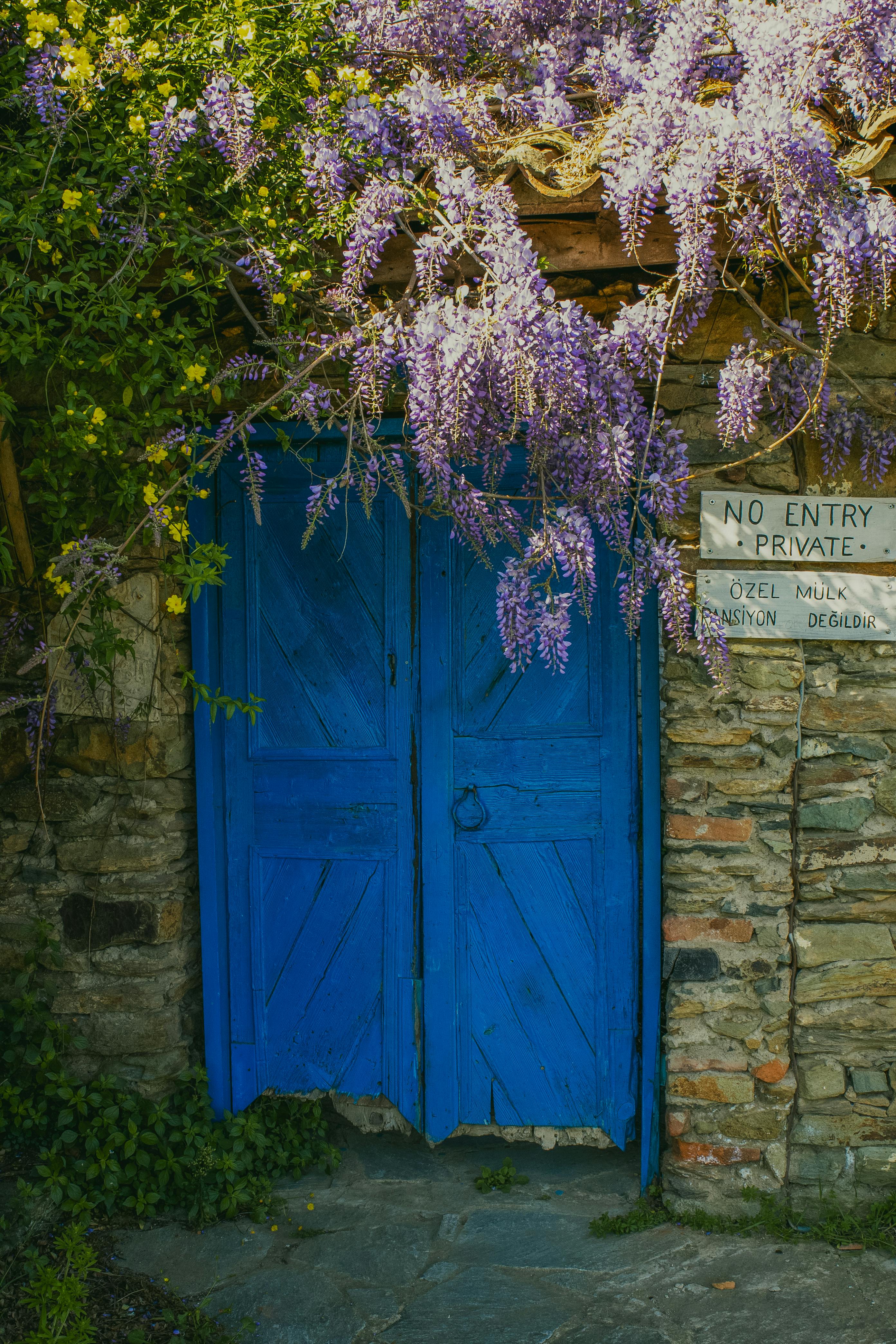 Fence with Blue Gate · Free Stock Photo