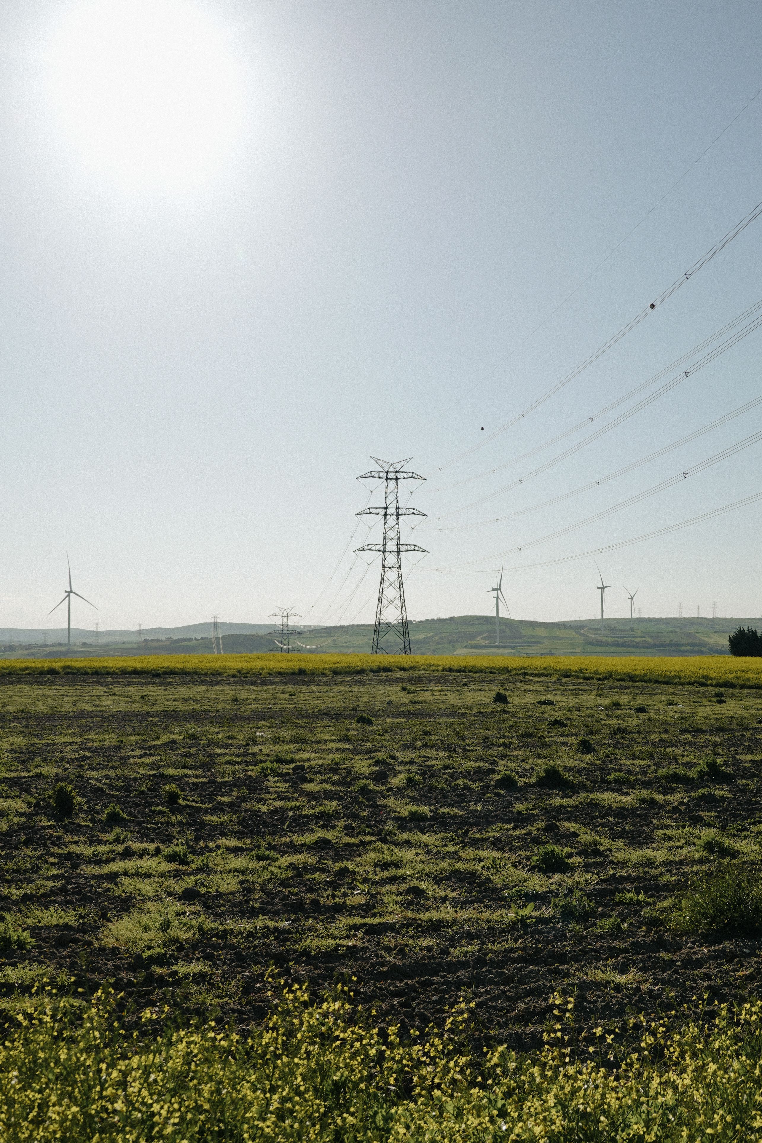 View of Utility Poles and Wind Turbines on a Field · Free Stock Photo