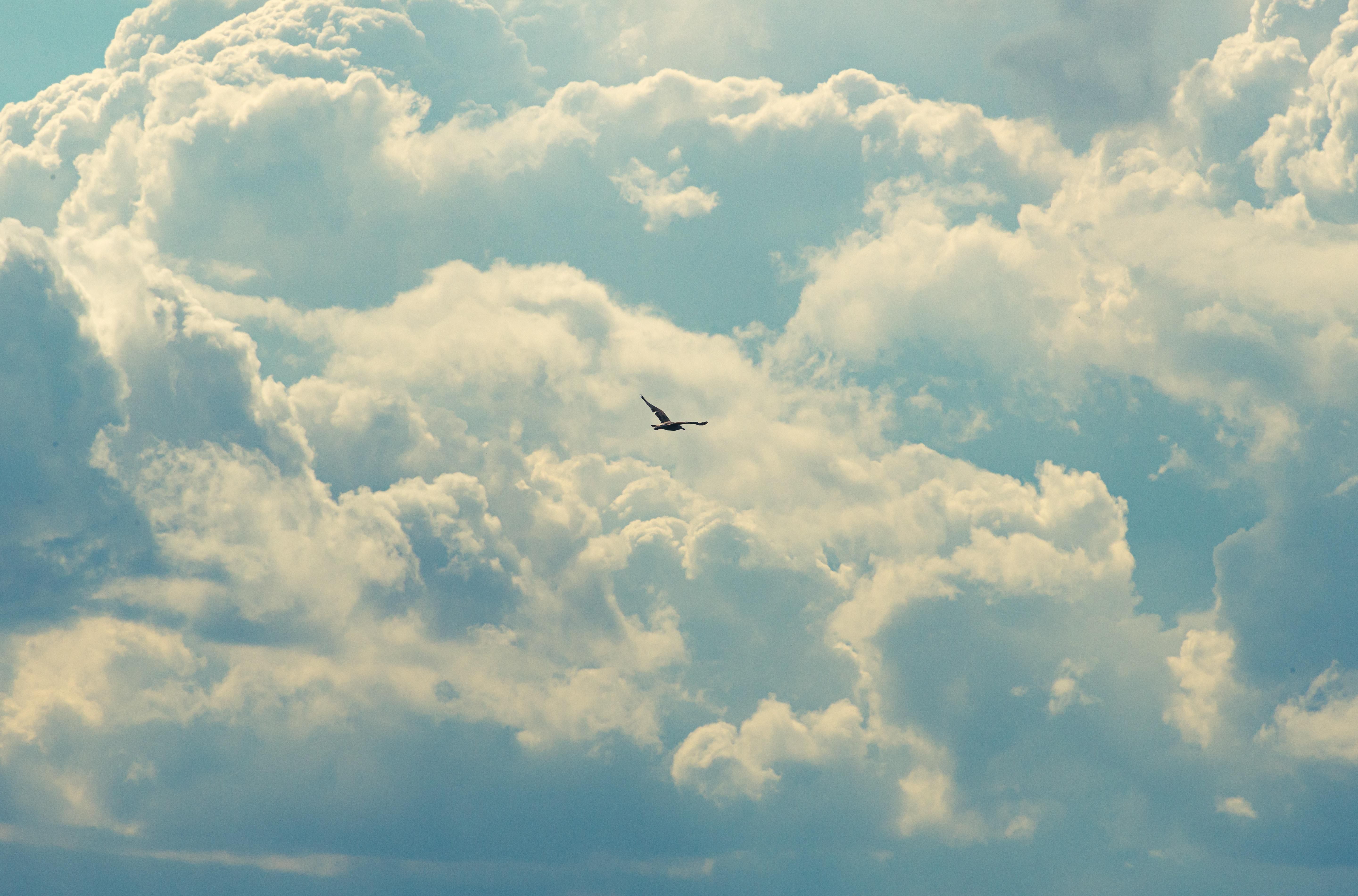 A plane flying in the sky with some clouds · Free Stock Photo