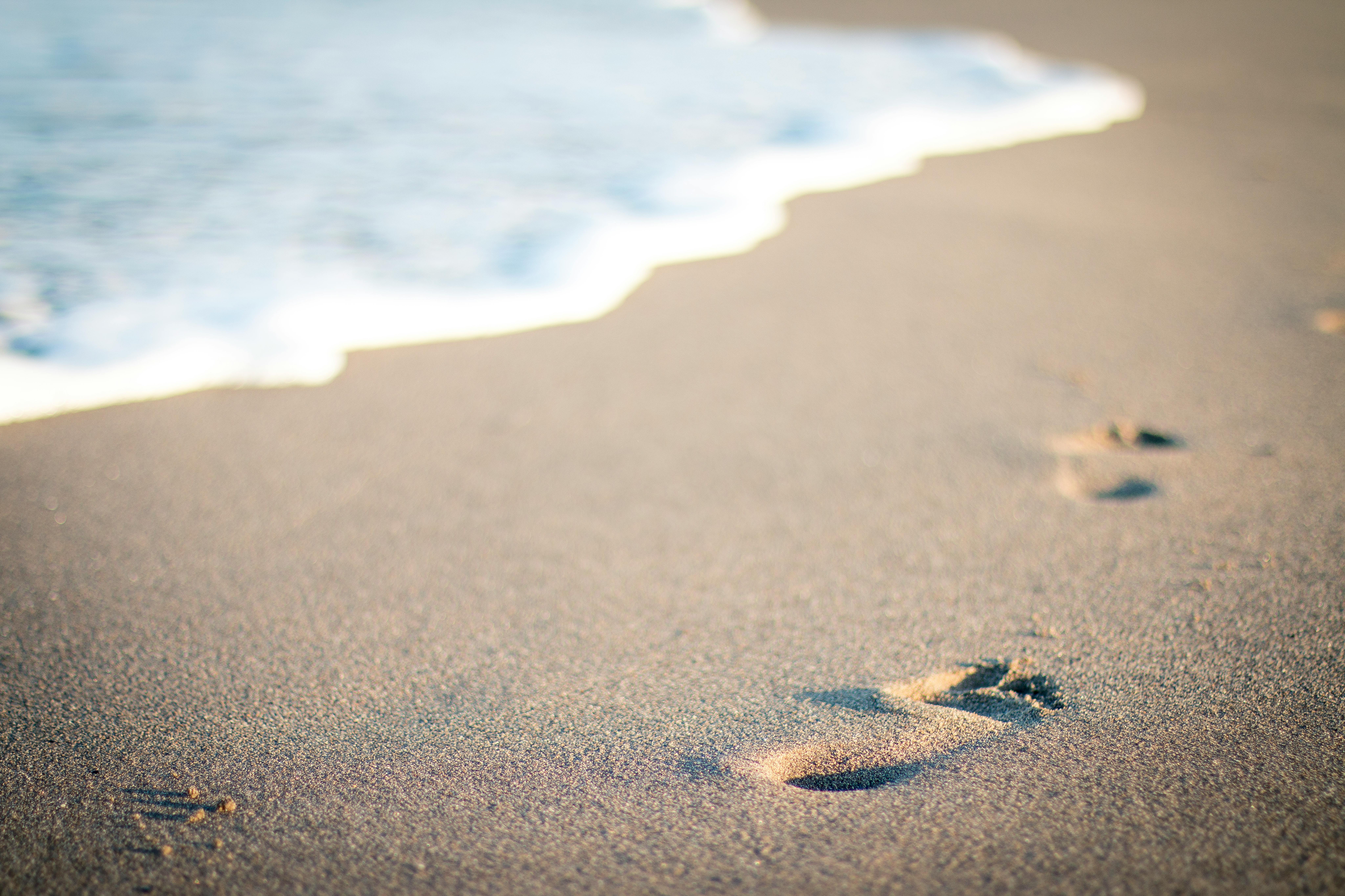 Footprints in the Sand of the Beach · Free Stock Photo