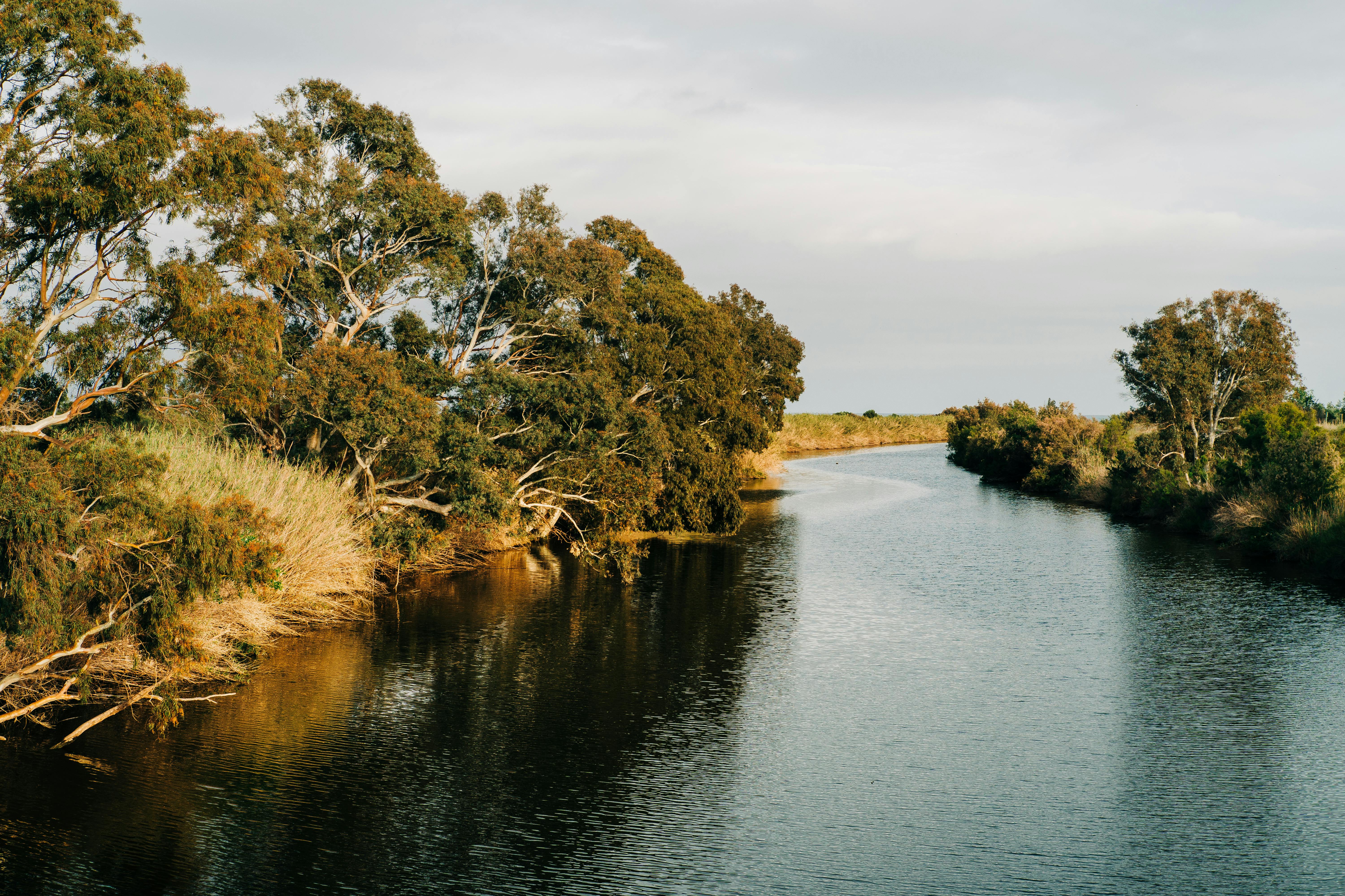 Water Bo Photos, Download The BEST Free Water Bo Stock Photos & HD Images