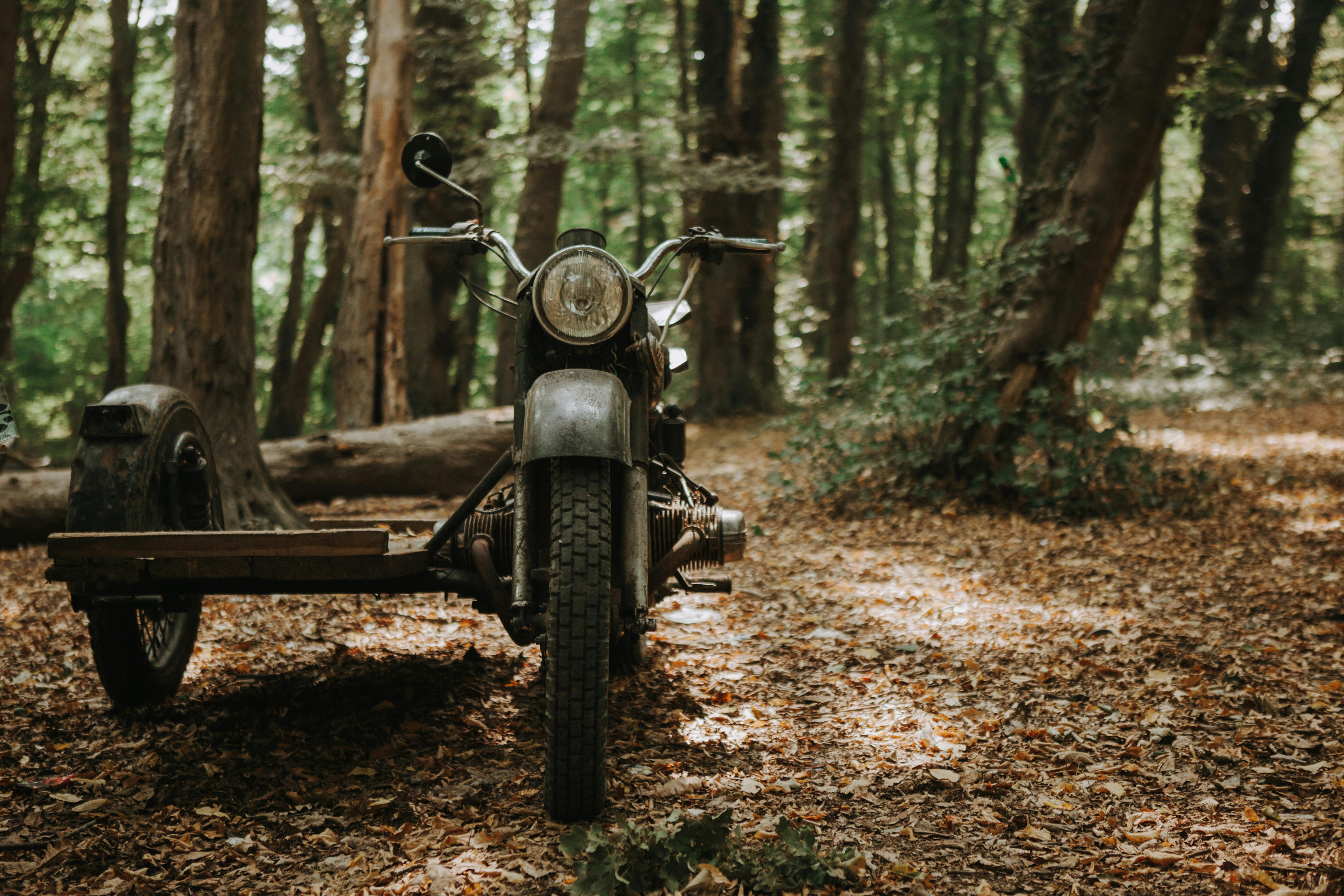 Old Motorcycle with Sidecar in Forest · Free Stock Photo