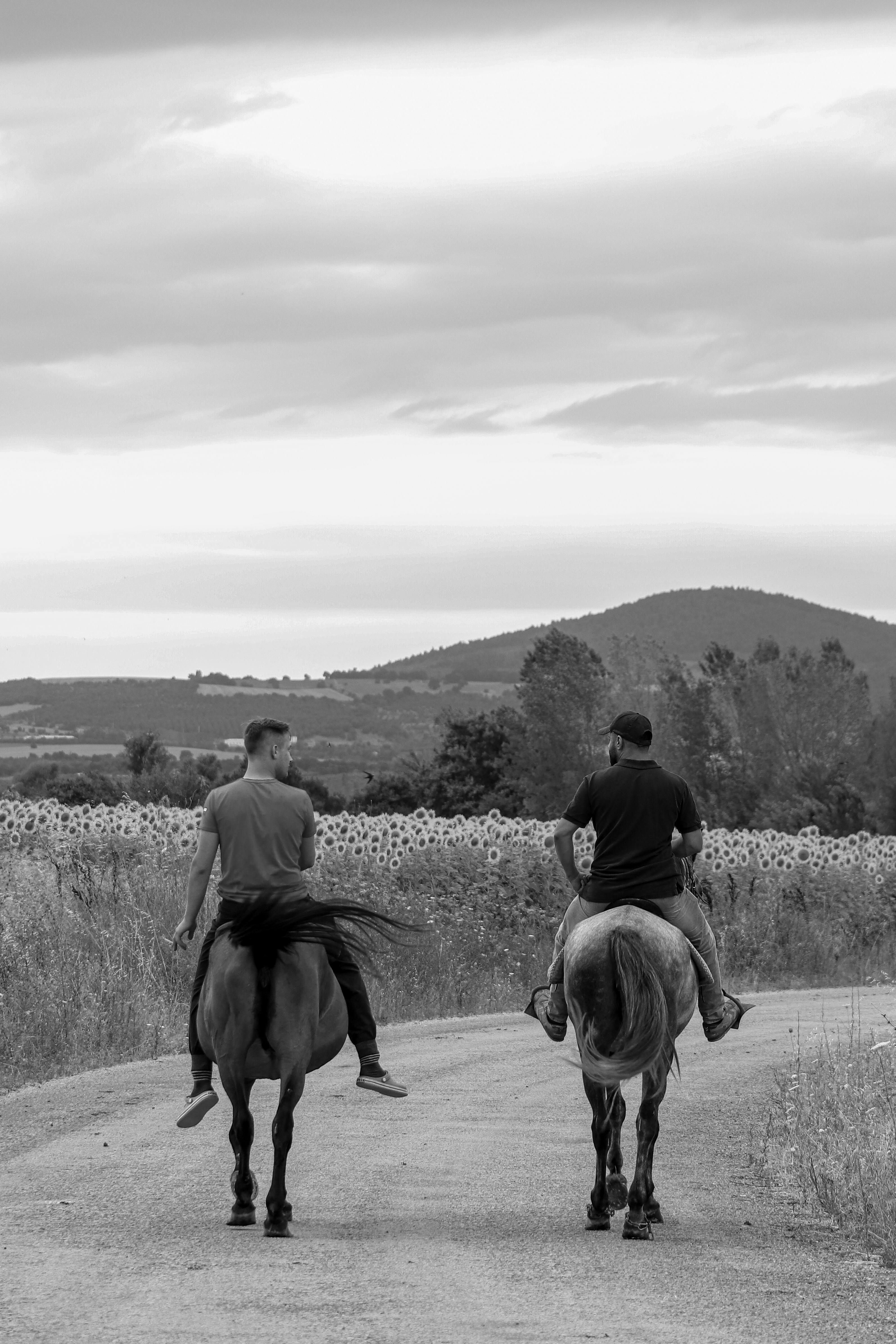 Two men riding horses down a country road · Free Stock Photo