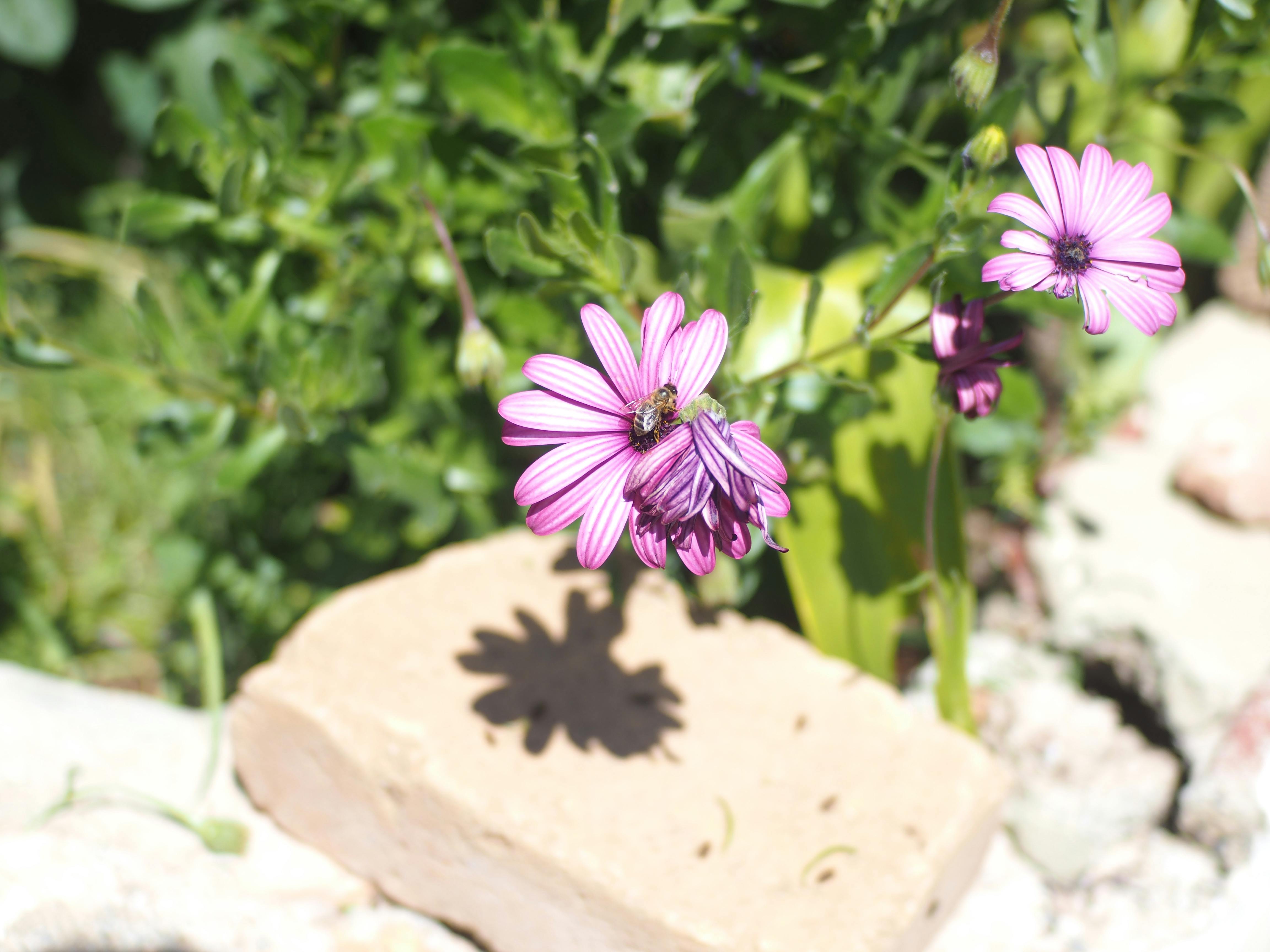 Maria Soler - Fotografía