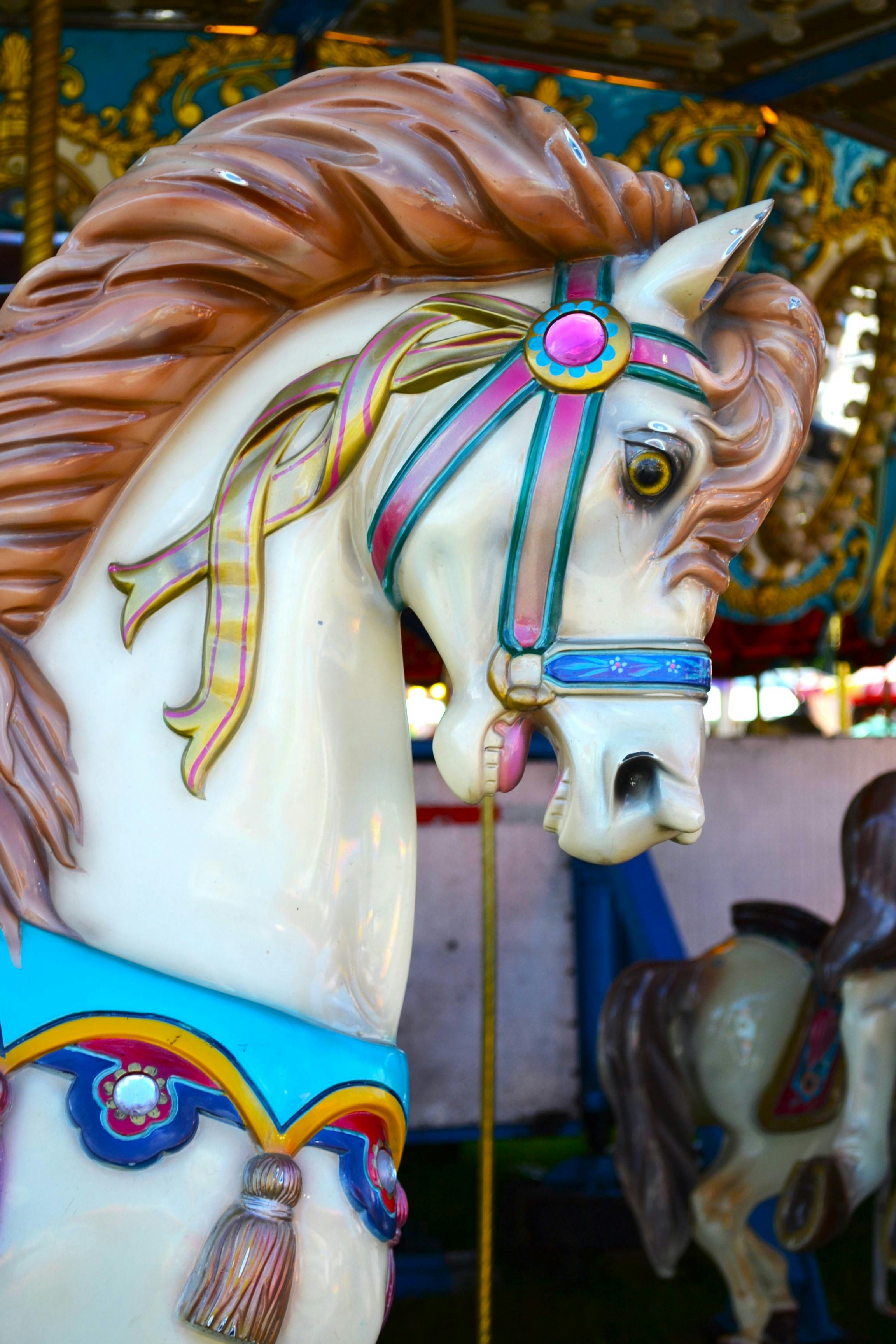 Carousel Horse Photos, Download The BEST Free Carousel Horse Stock ...